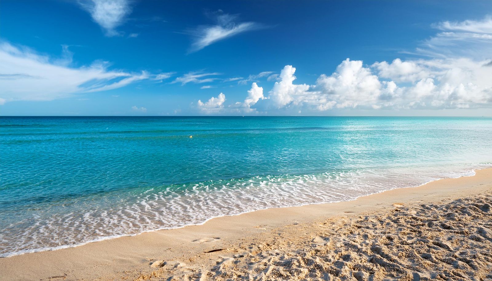 Beach Vacation Photos, Download The BEST Free Beach Vacation Stock ...