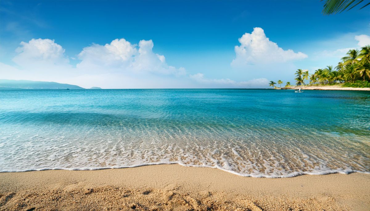 500.000+ Foto Background Laut Terbaik · Unduh Gratis 100% · Foto Stok ...