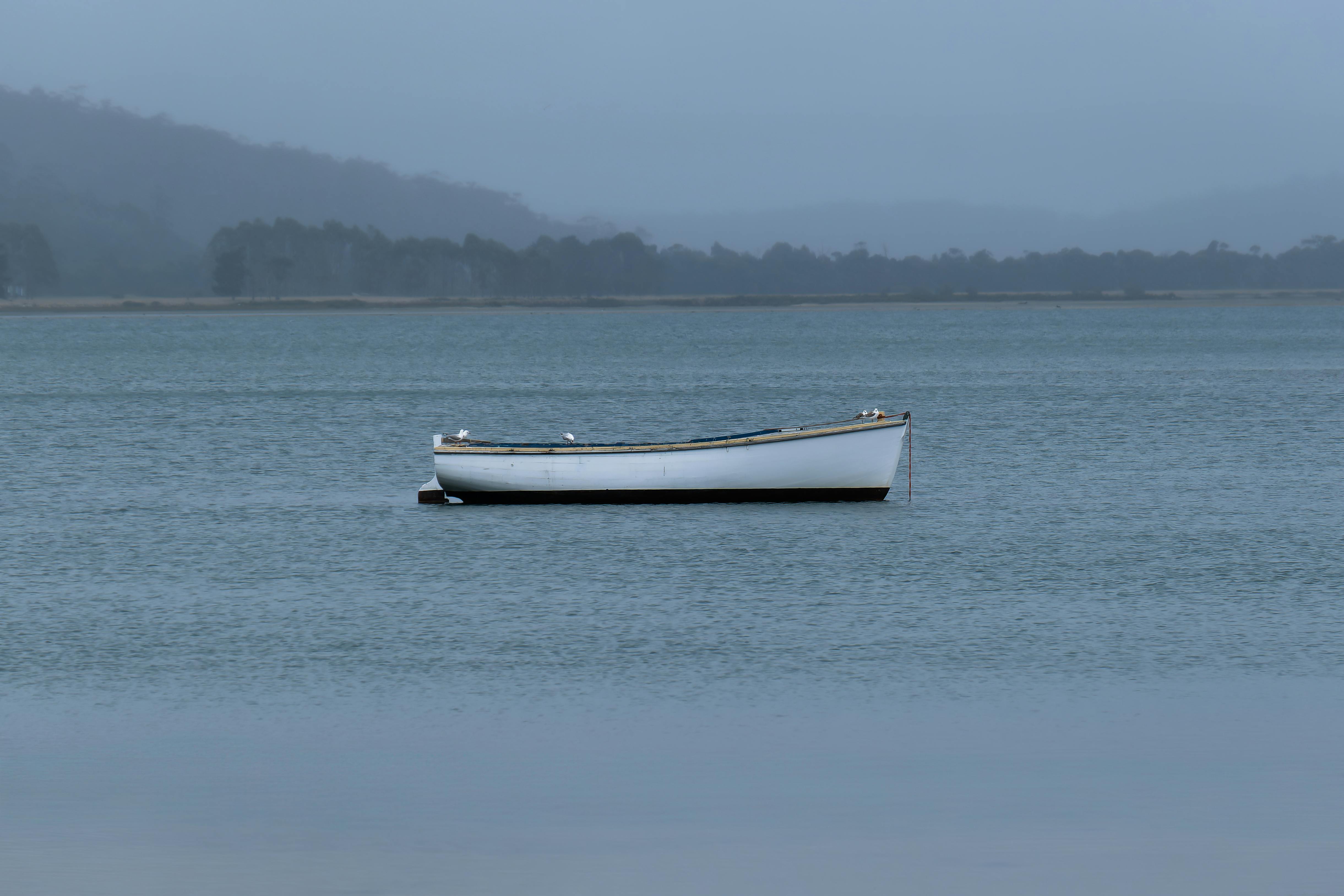 Warren Griffiths - 摄影