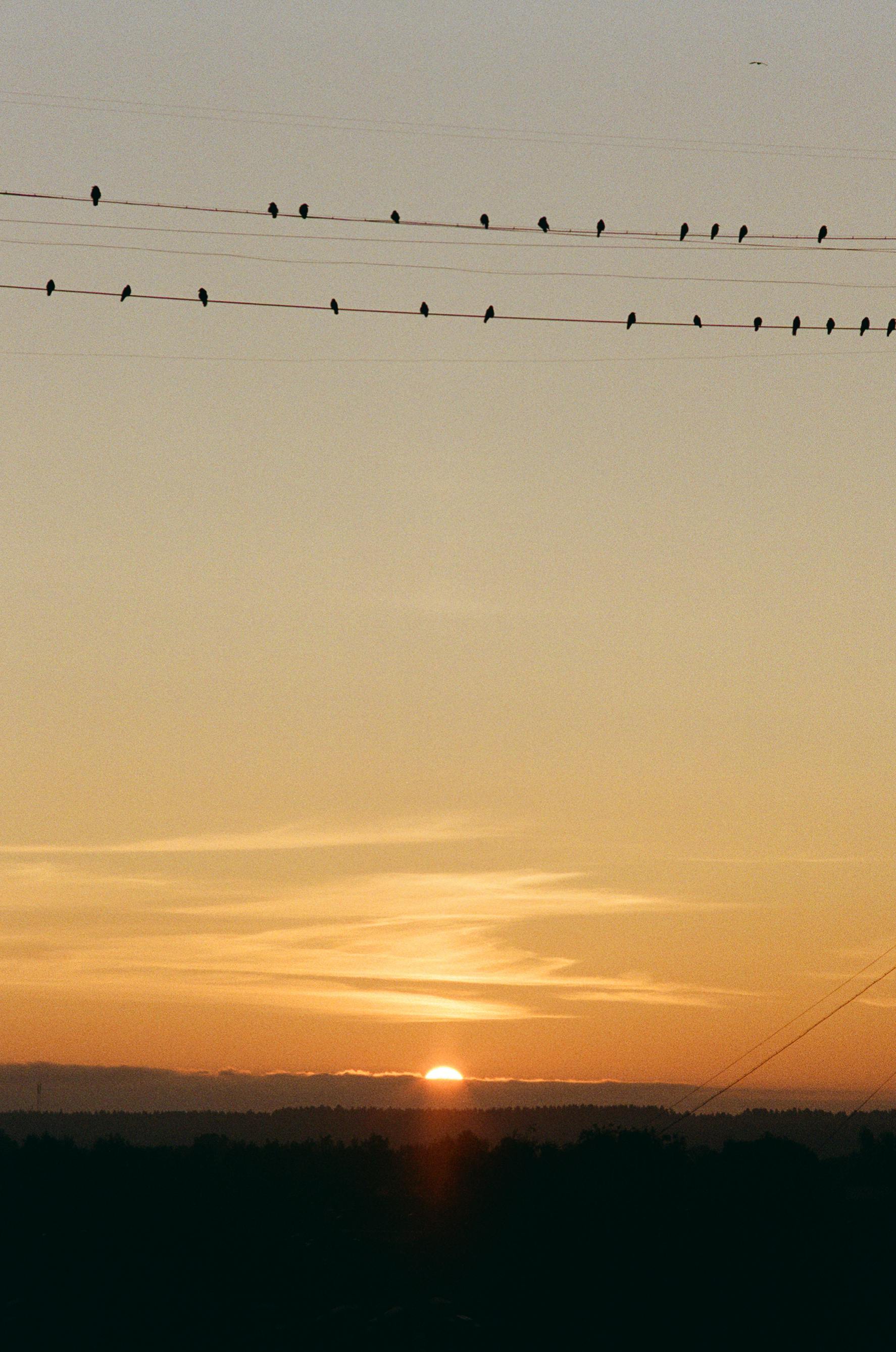 Sunset View Photos, Download The BEST Free Sunset View Stock Photos ...