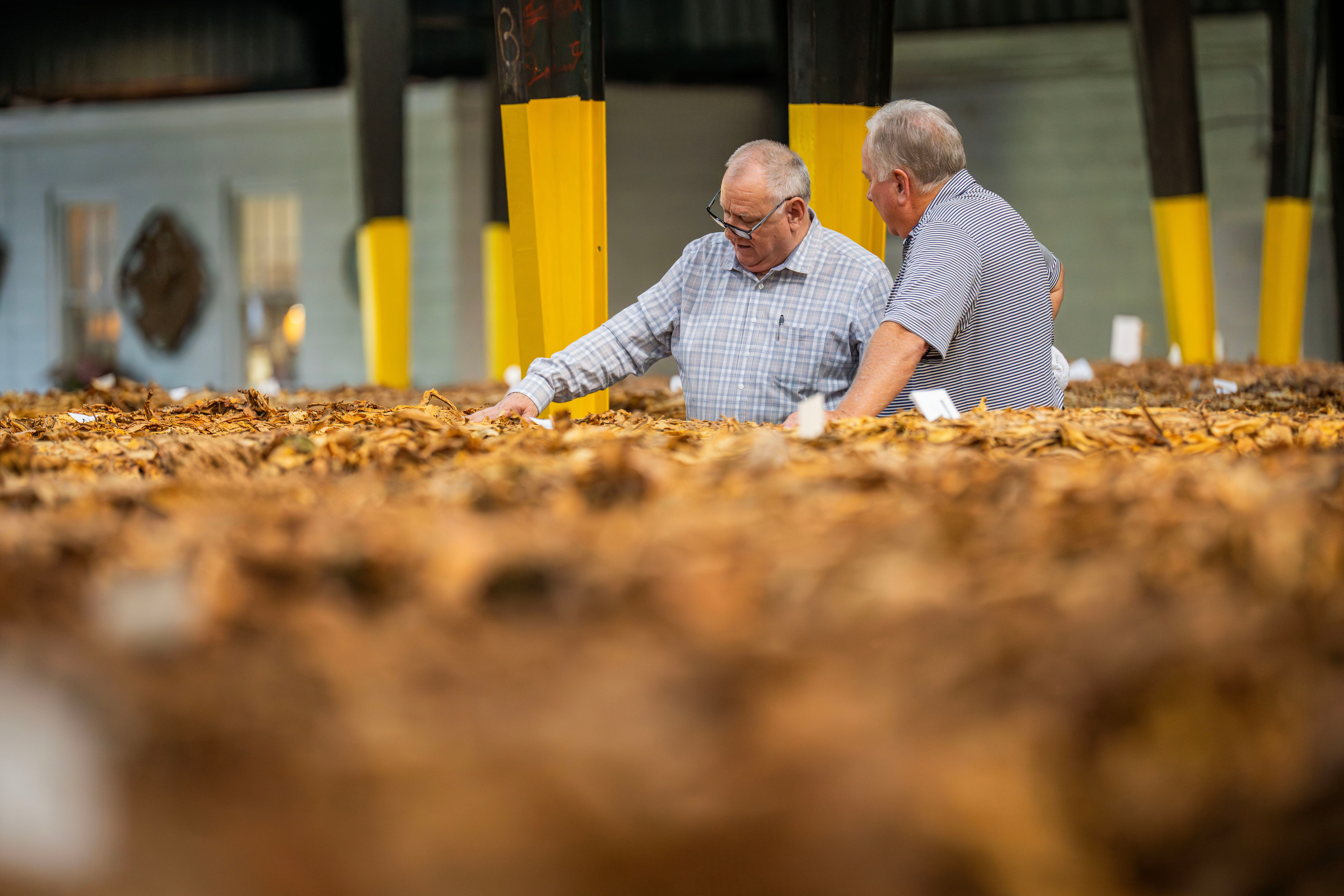 Two men standing in a warehouse looking at a pile of tobacco · Free ...