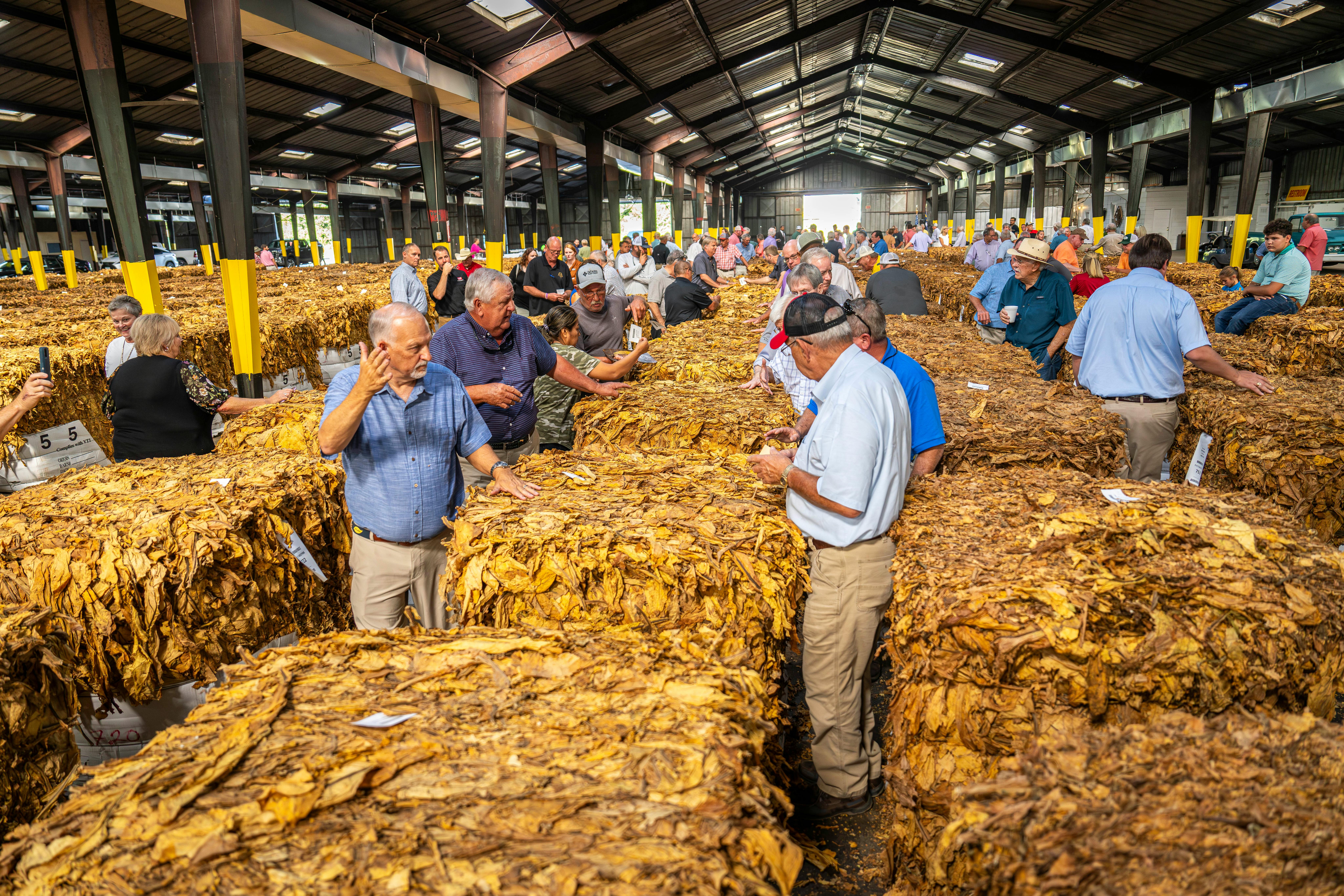 Auction Photos, Download The BEST Free Auction Stock Photos & HD Images