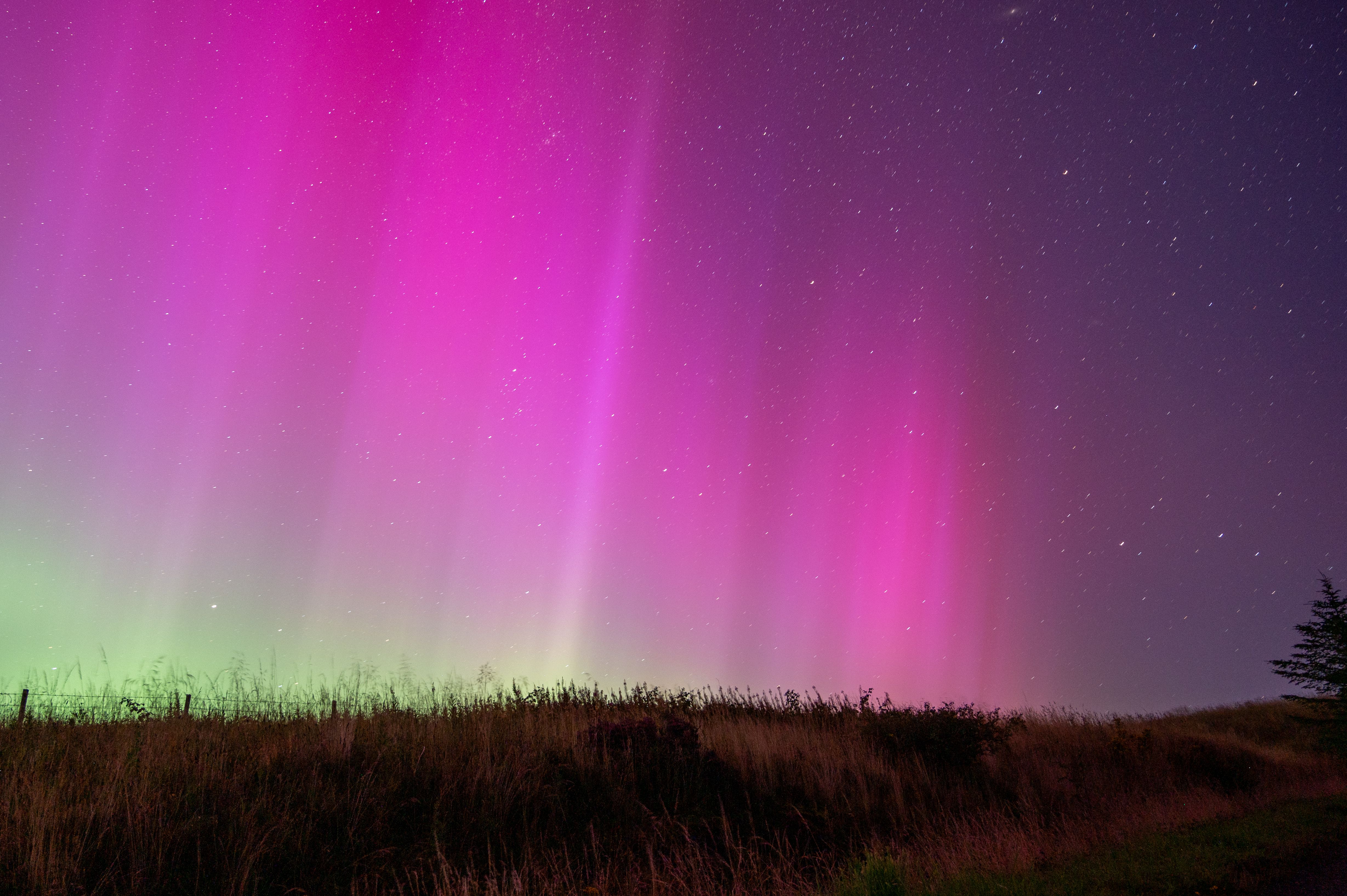 The aurora bore is seen in the sky over a field · Free Stock Photo