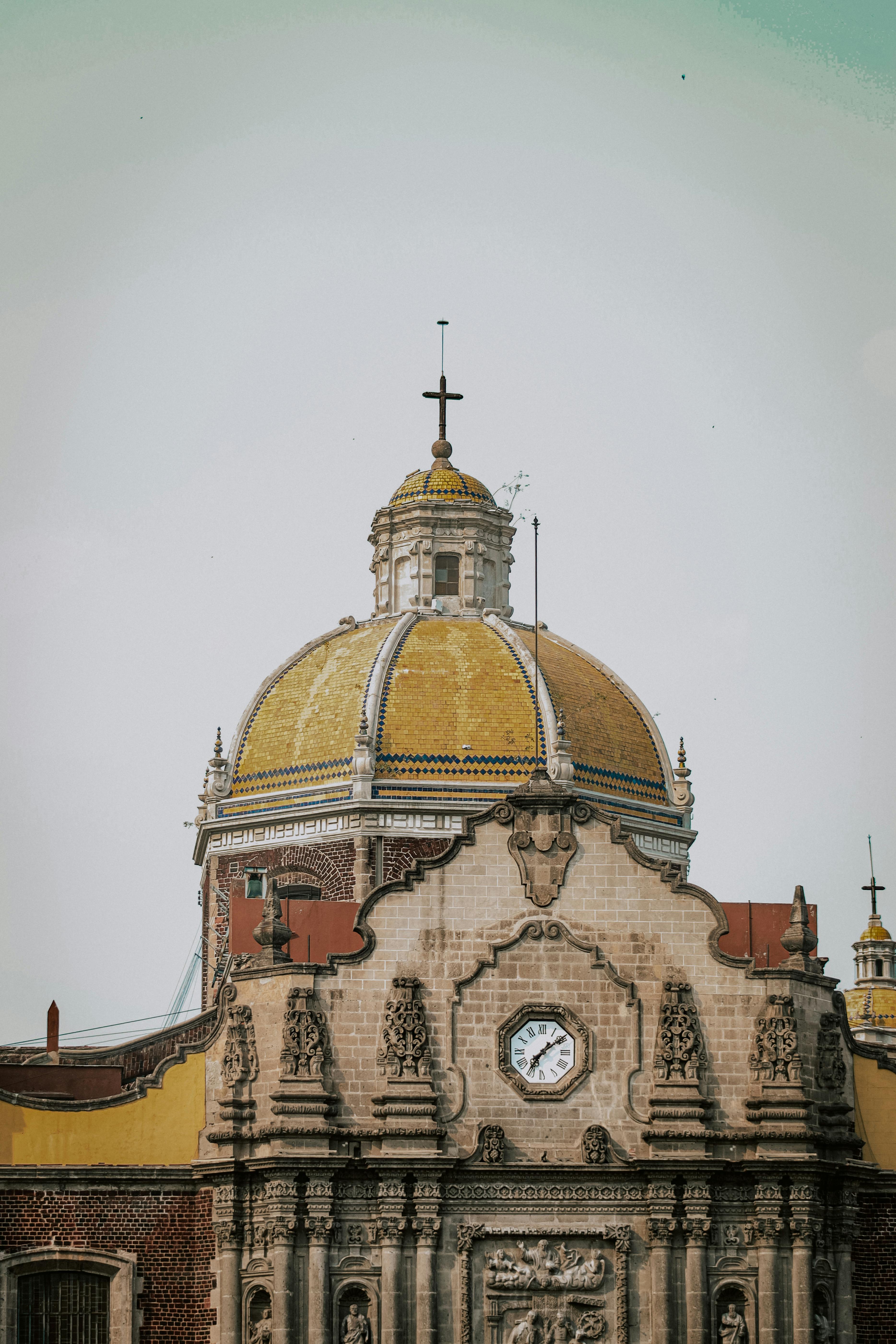 La familia Burrón · Free Stock Photo