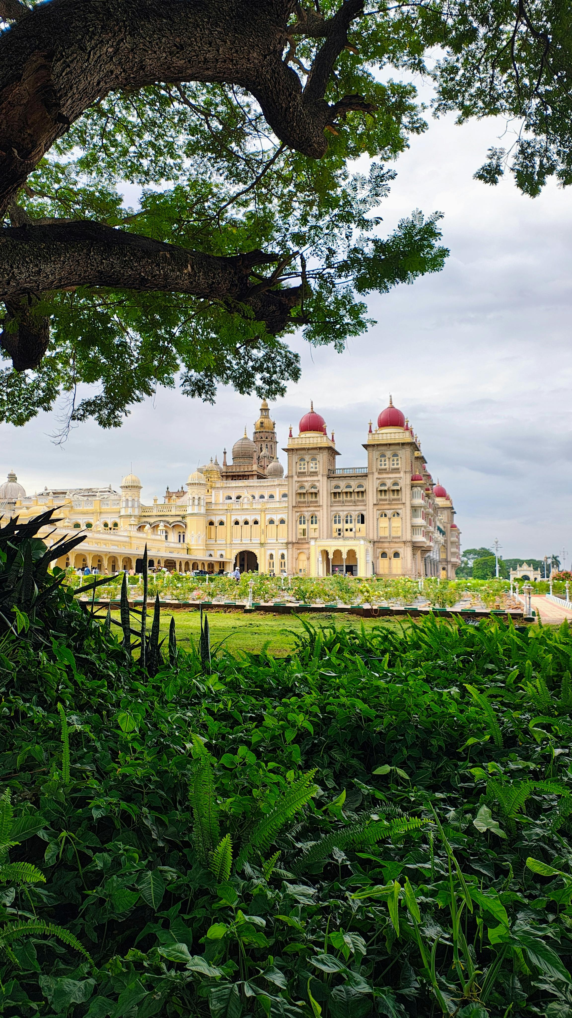 Mysore Photos, Download The BEST Free Mysore Stock Photos & HD Images