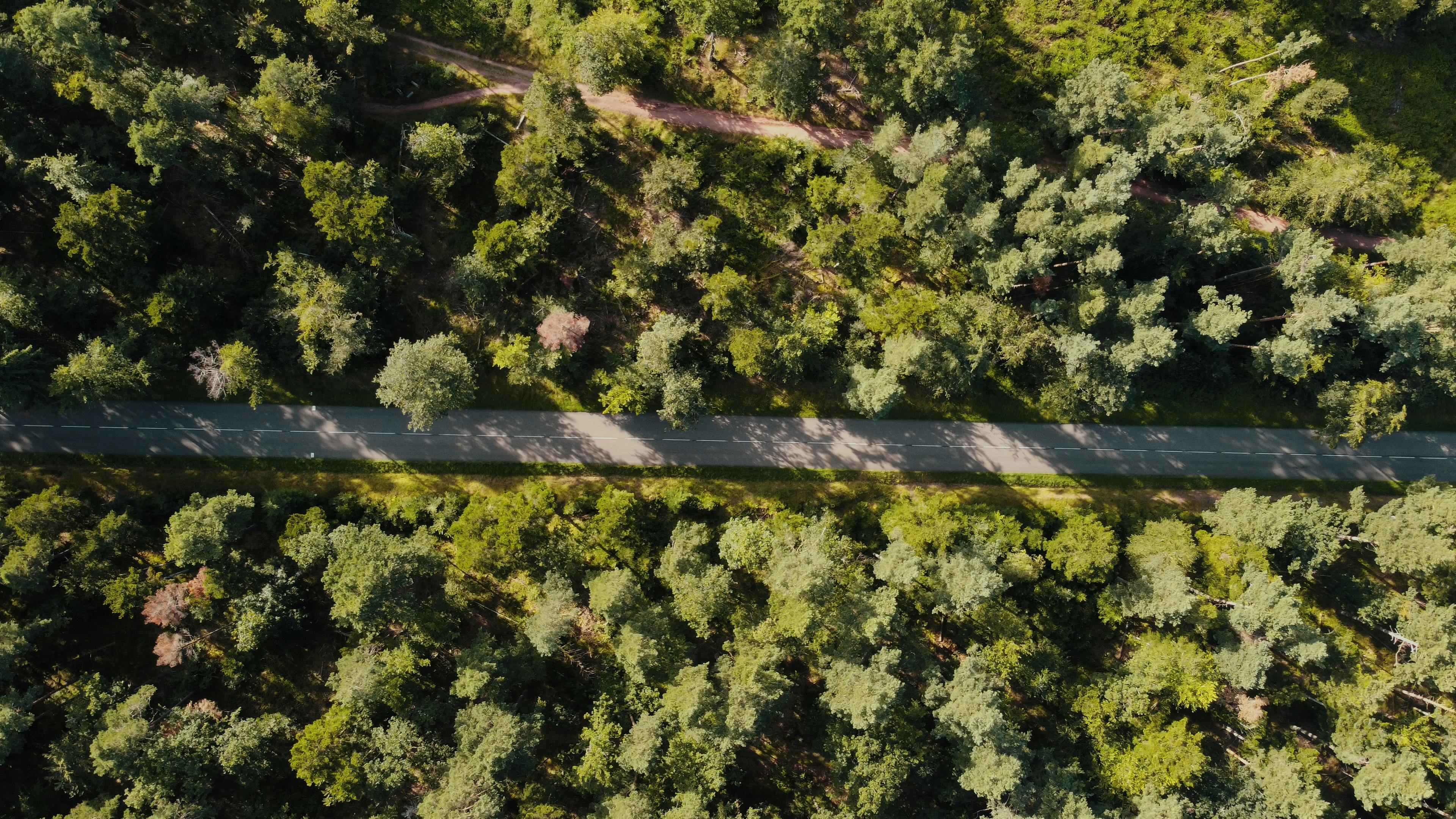 Aerial view of a road in the forest · Free Stock Photo