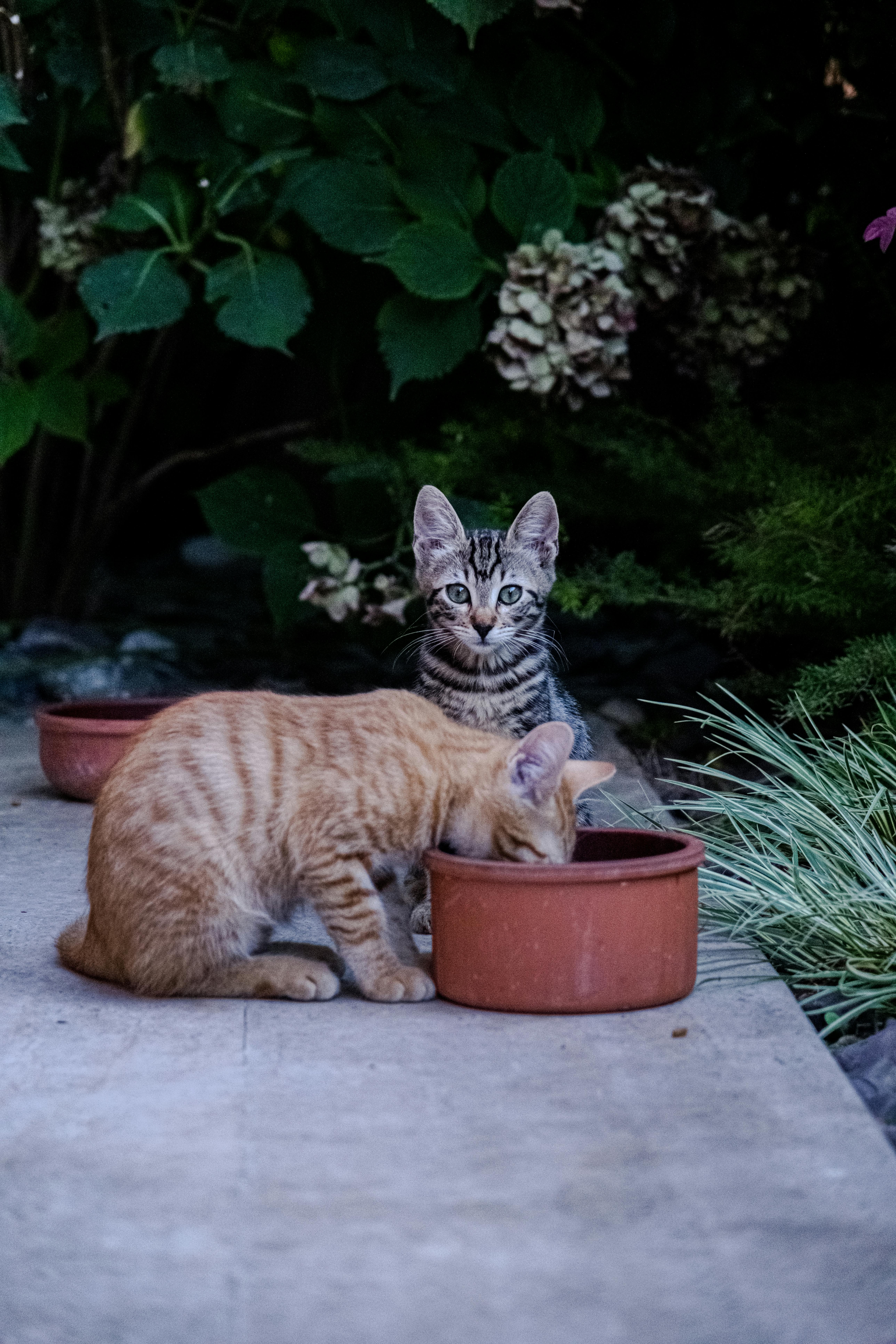 taking turns · Free Stock Photo