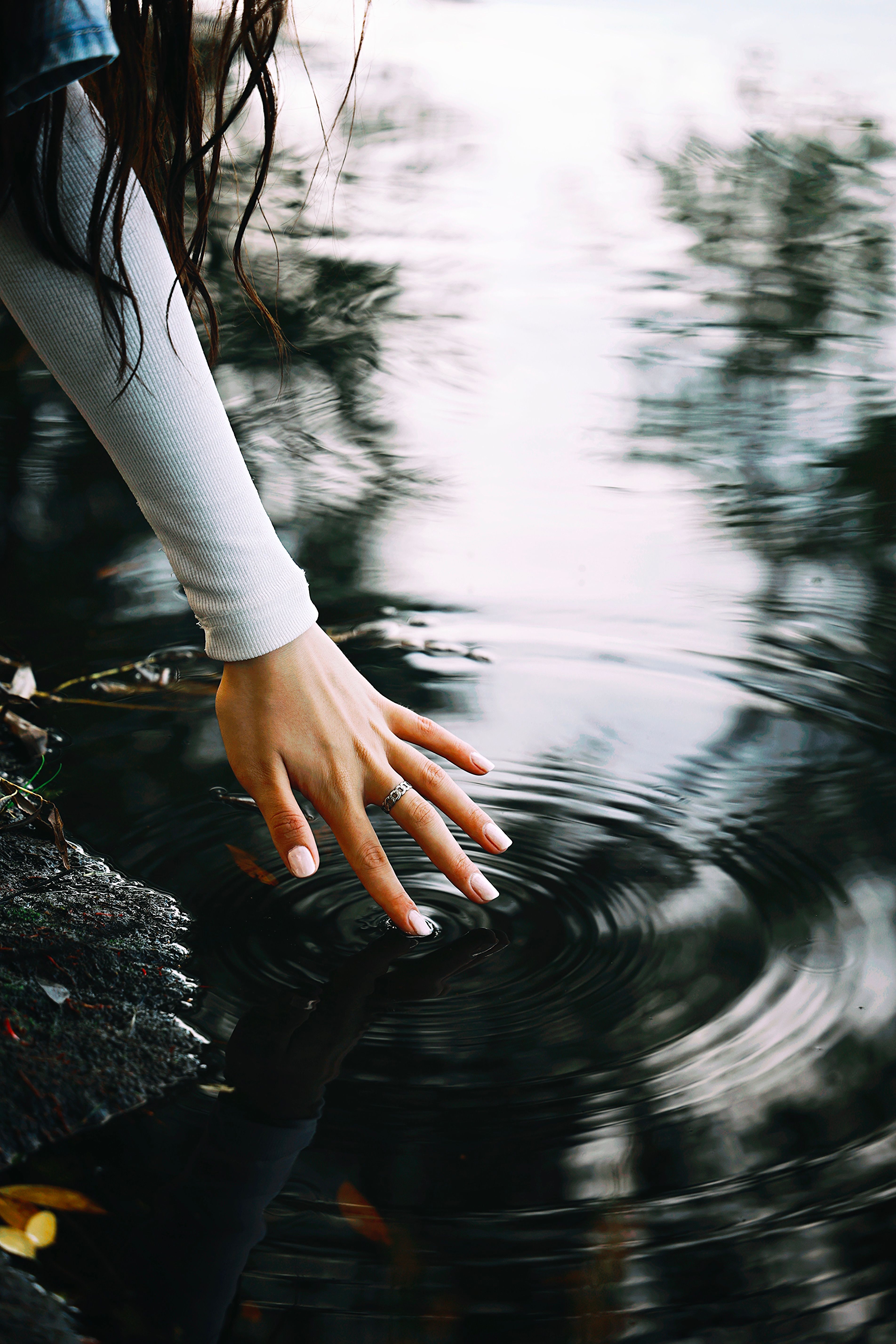 A person's hand touching water in a pond · Free Stock Photo