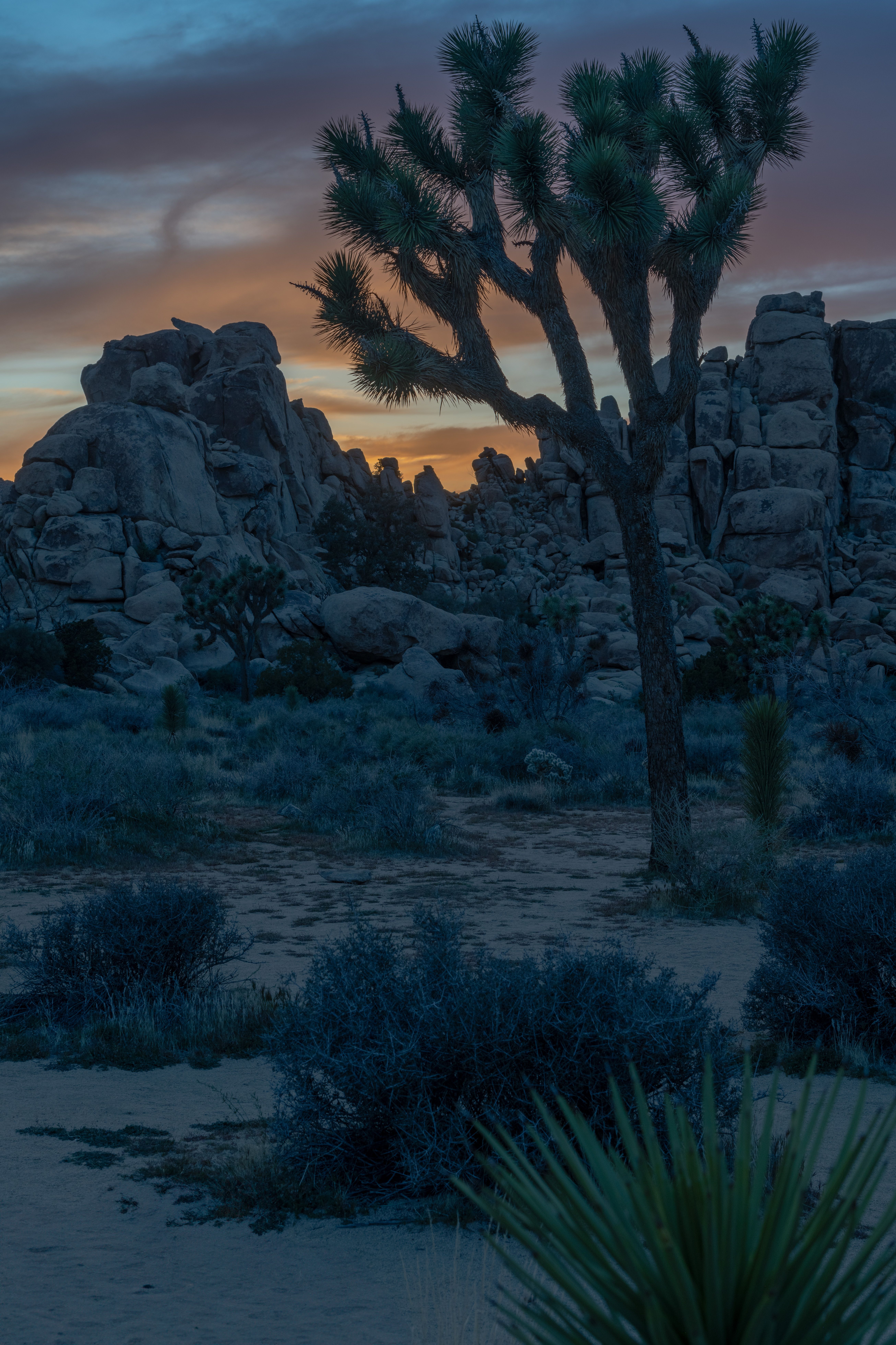 Sunset in the Hemingway Area, Joshua Tree National Park · Free Stock Photo