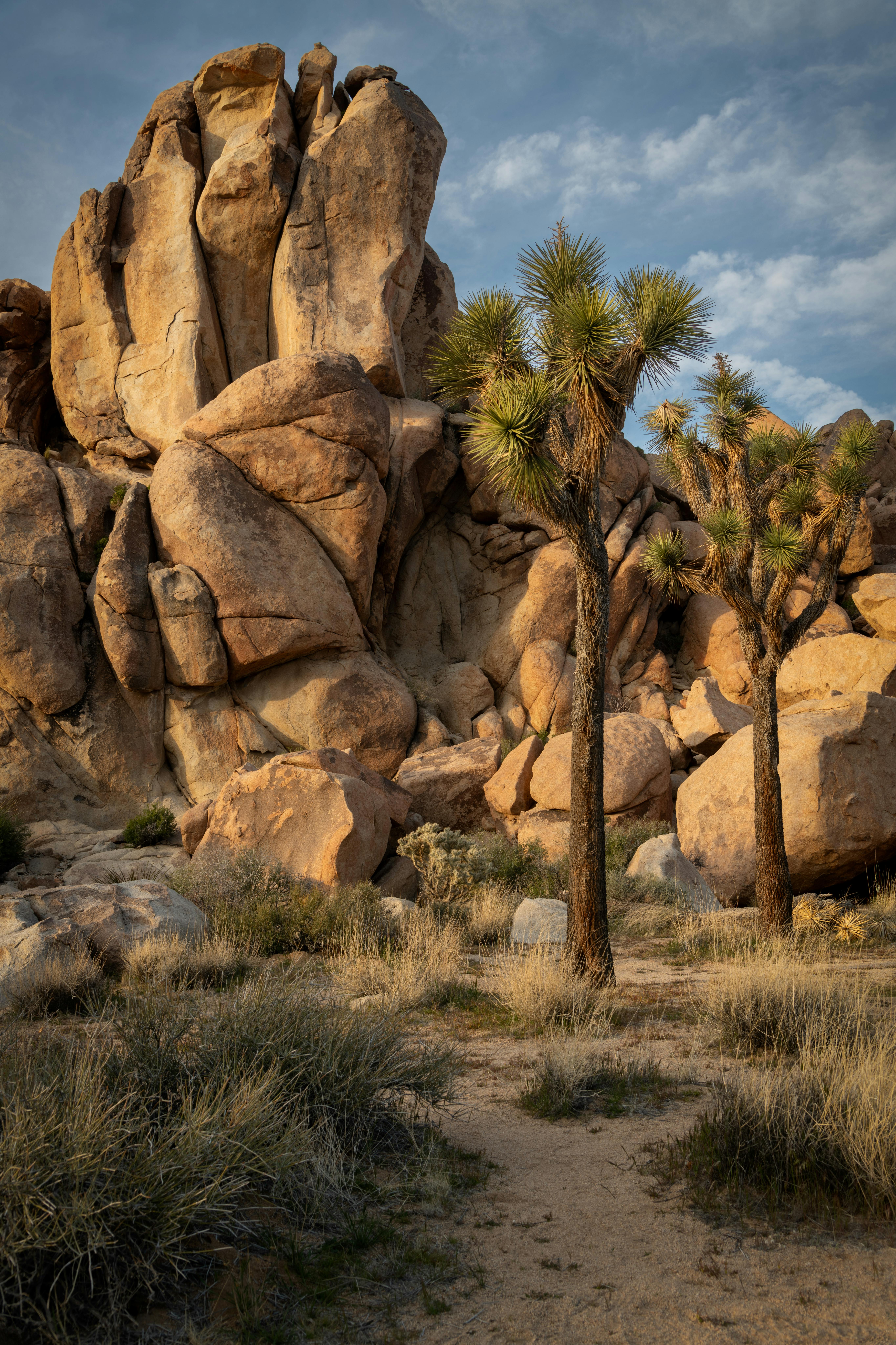 Hemingway Area, Joshua Tree National Park · Free Stock Photo