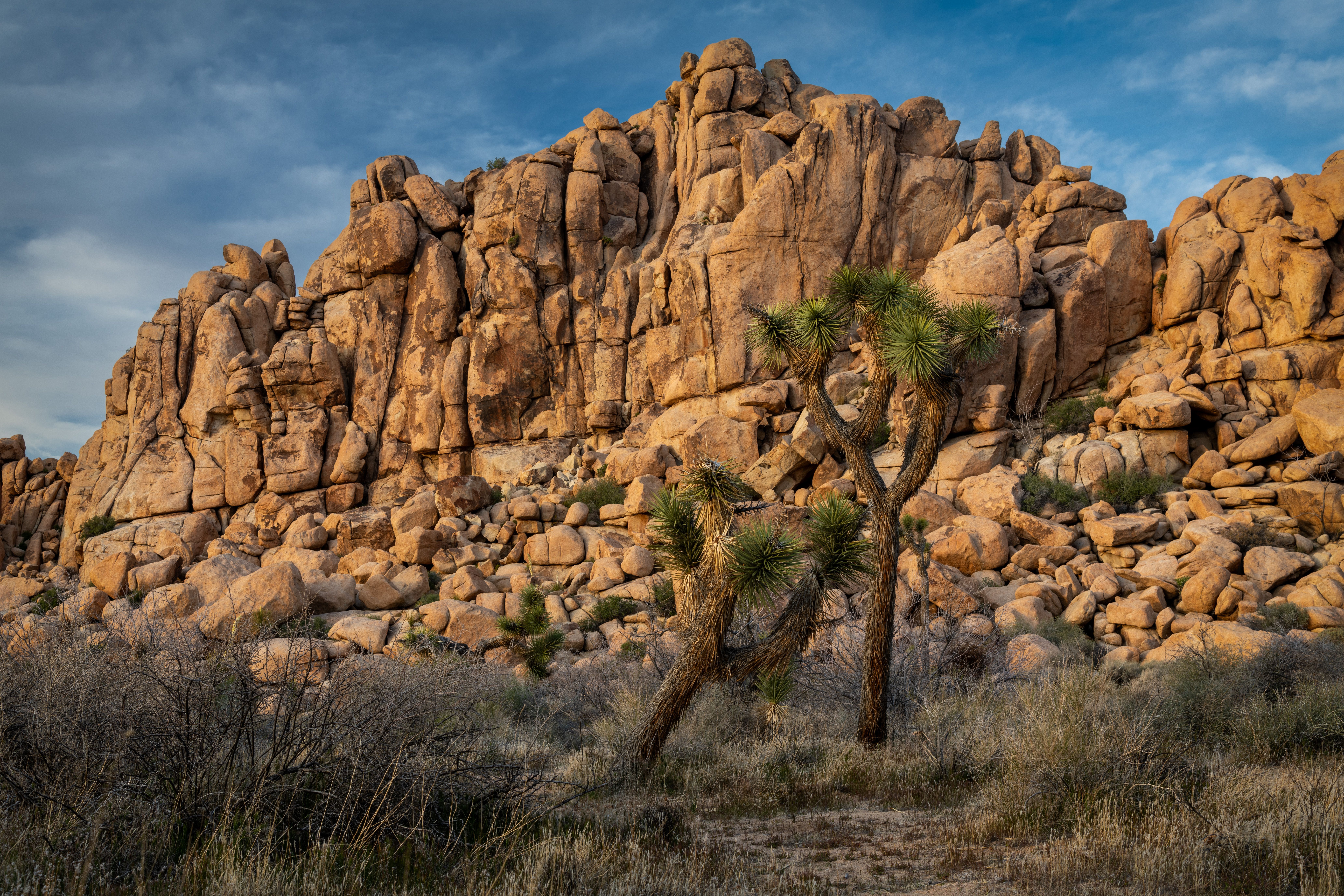Hemingway Area, Joshua Tree National Park · Free Stock Photo