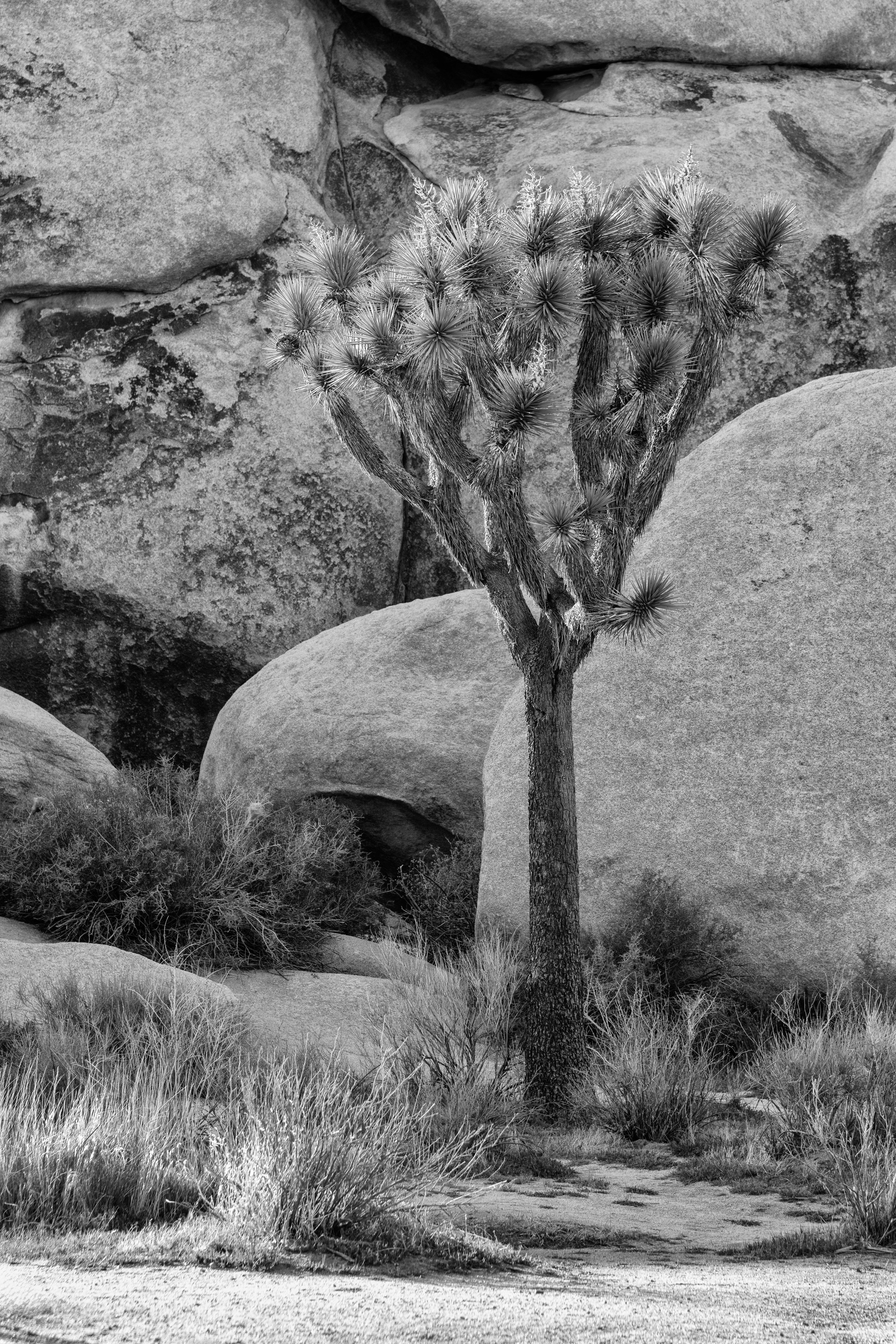 Hall of Horrors, Joshua Tree National Park · Free Stock Photo