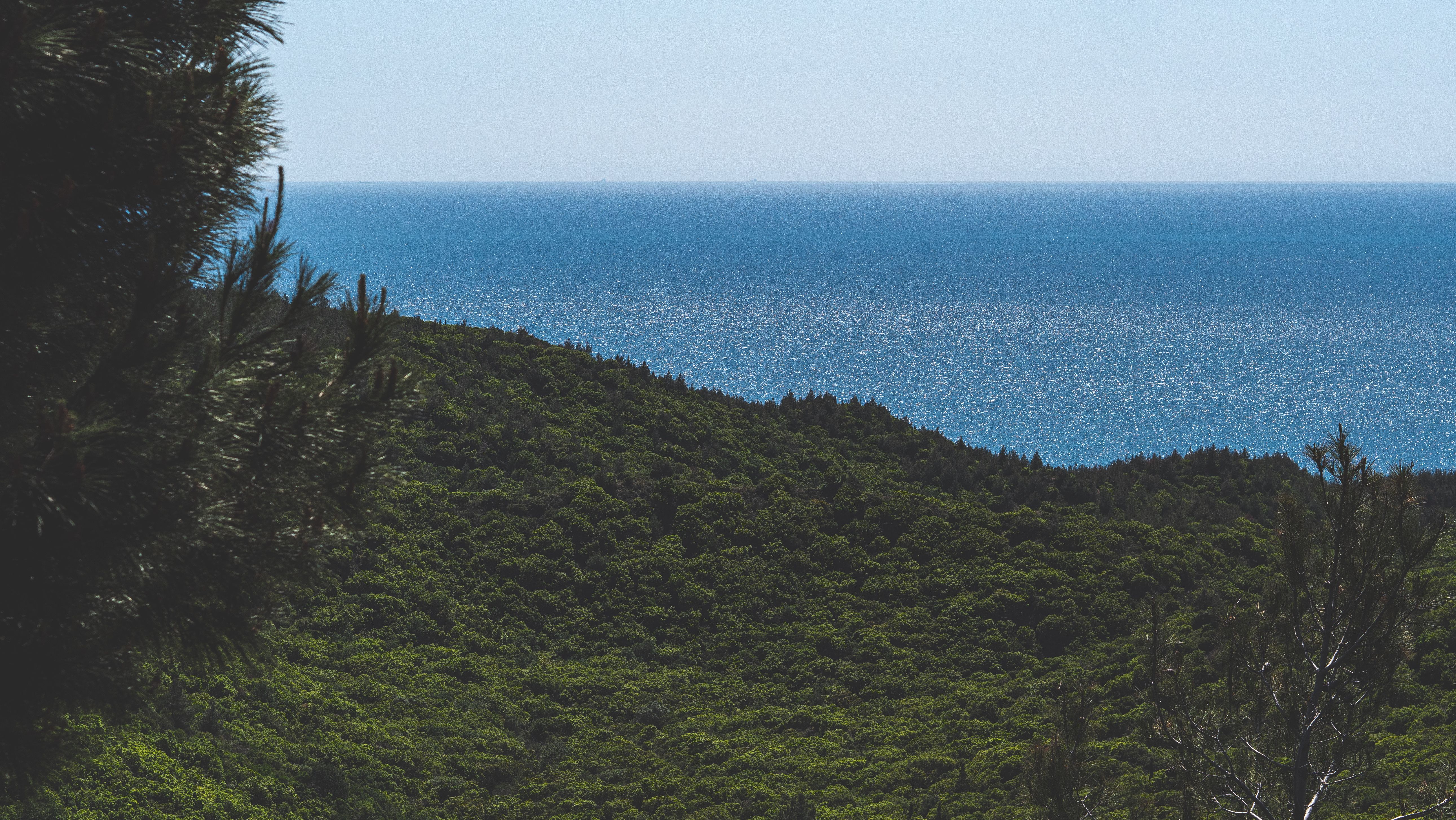 A view of the ocean from a hillside · Free Stock Photo