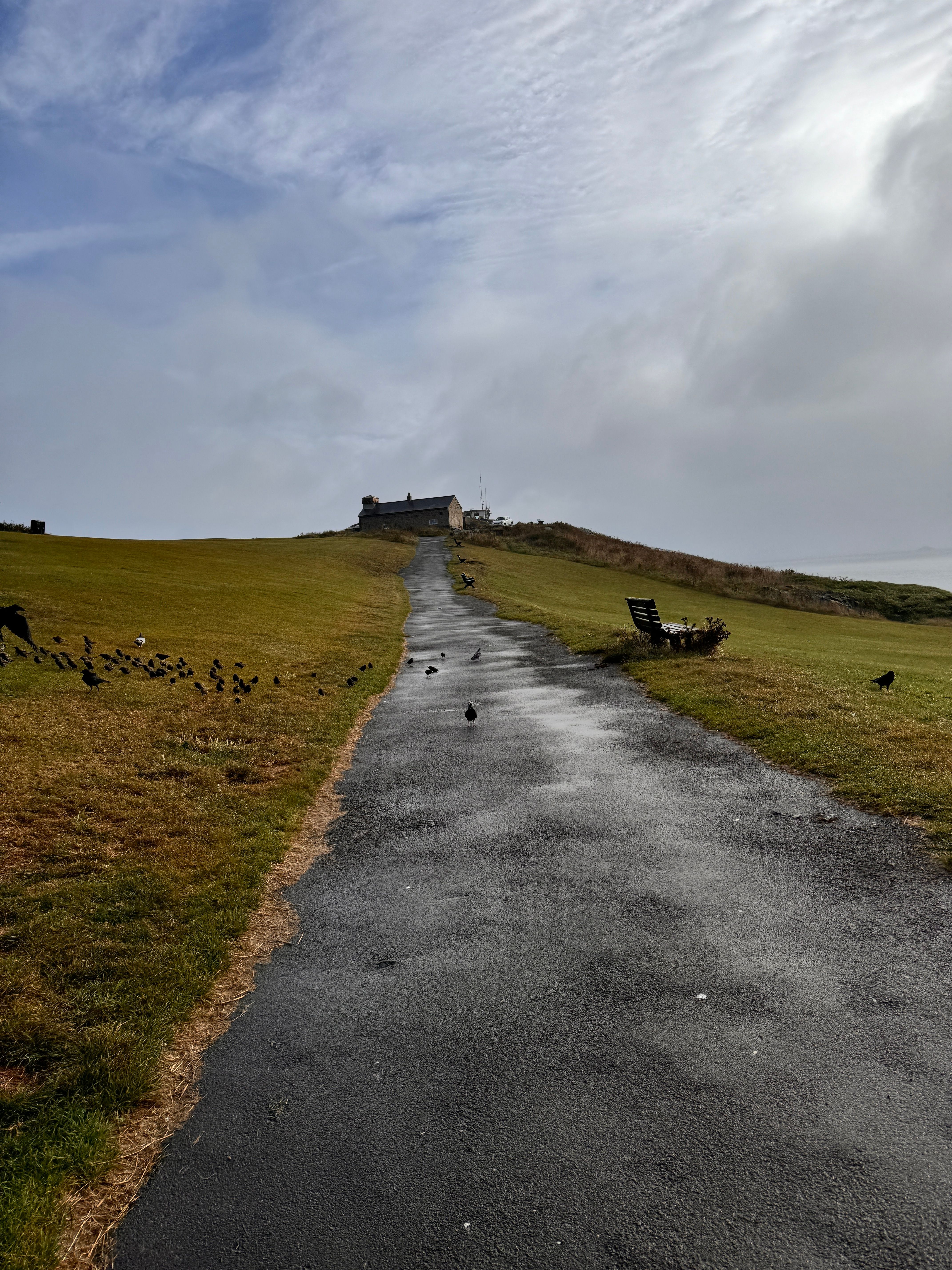A path leading to a grassy hill with a lighthouse · Free Stock Photo