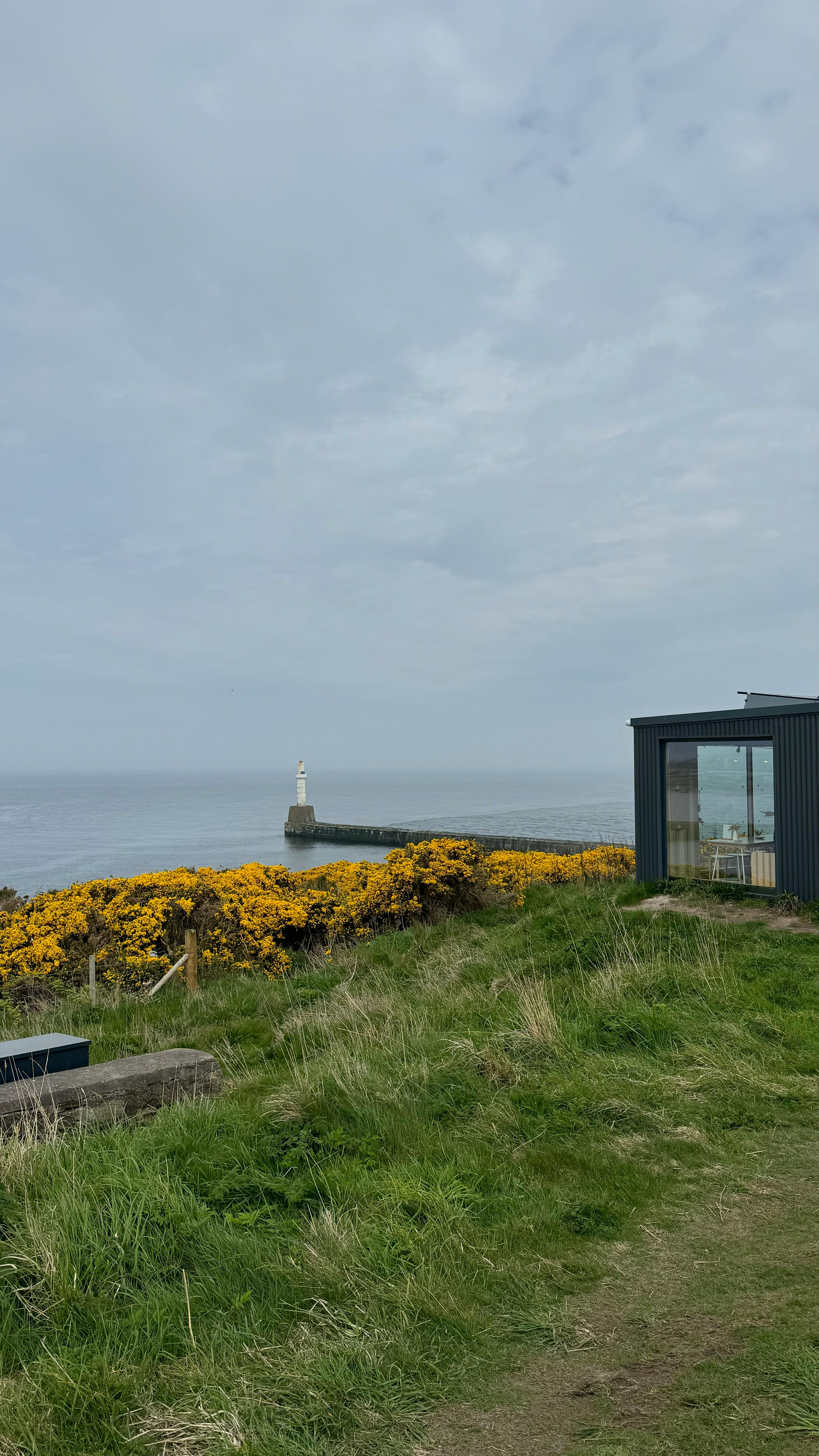Green and Brown Mountain Cliffs Near Ocean · Free Stock Photo