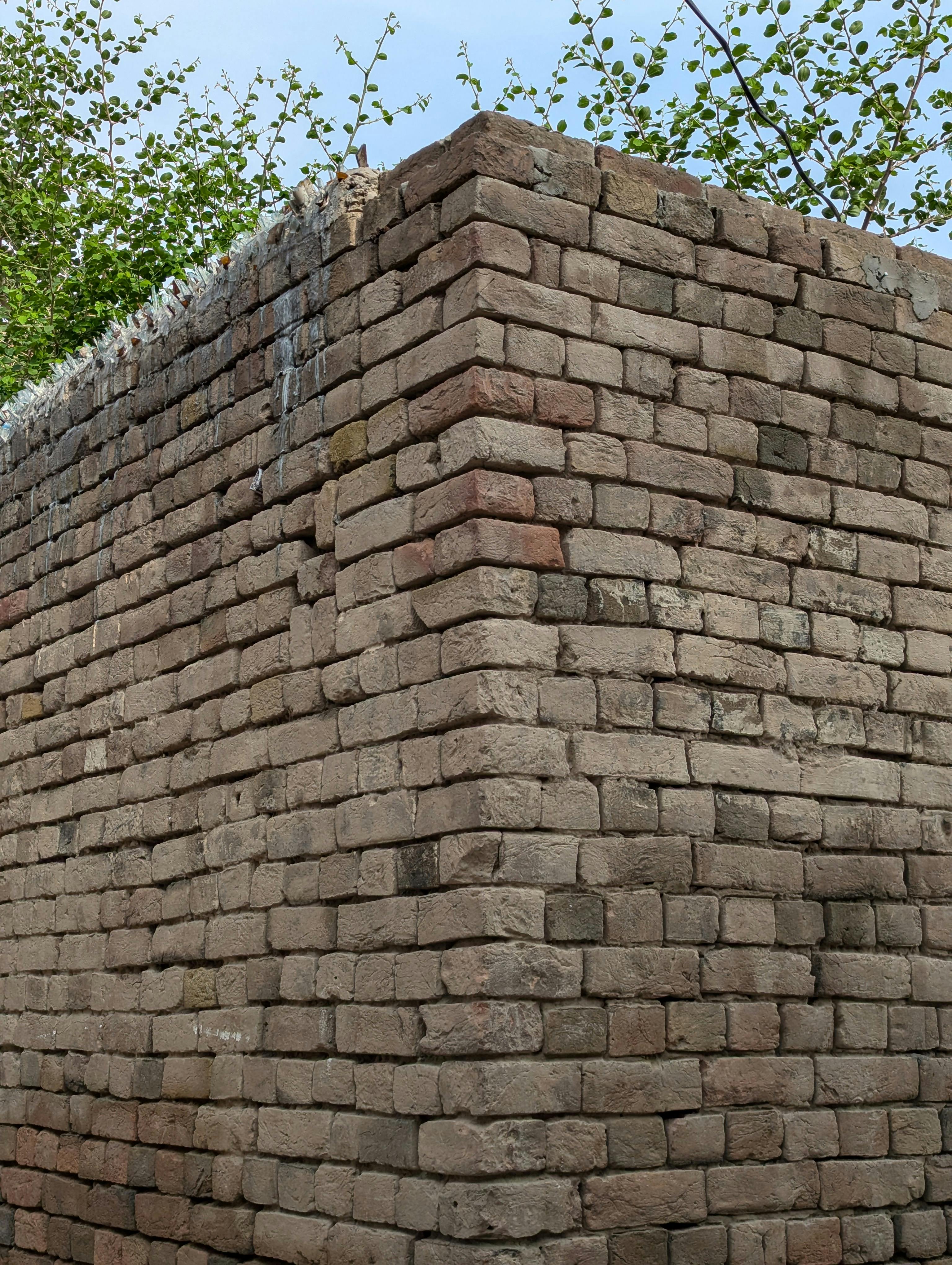 Brick wall 🧱 · Free Stock Photo