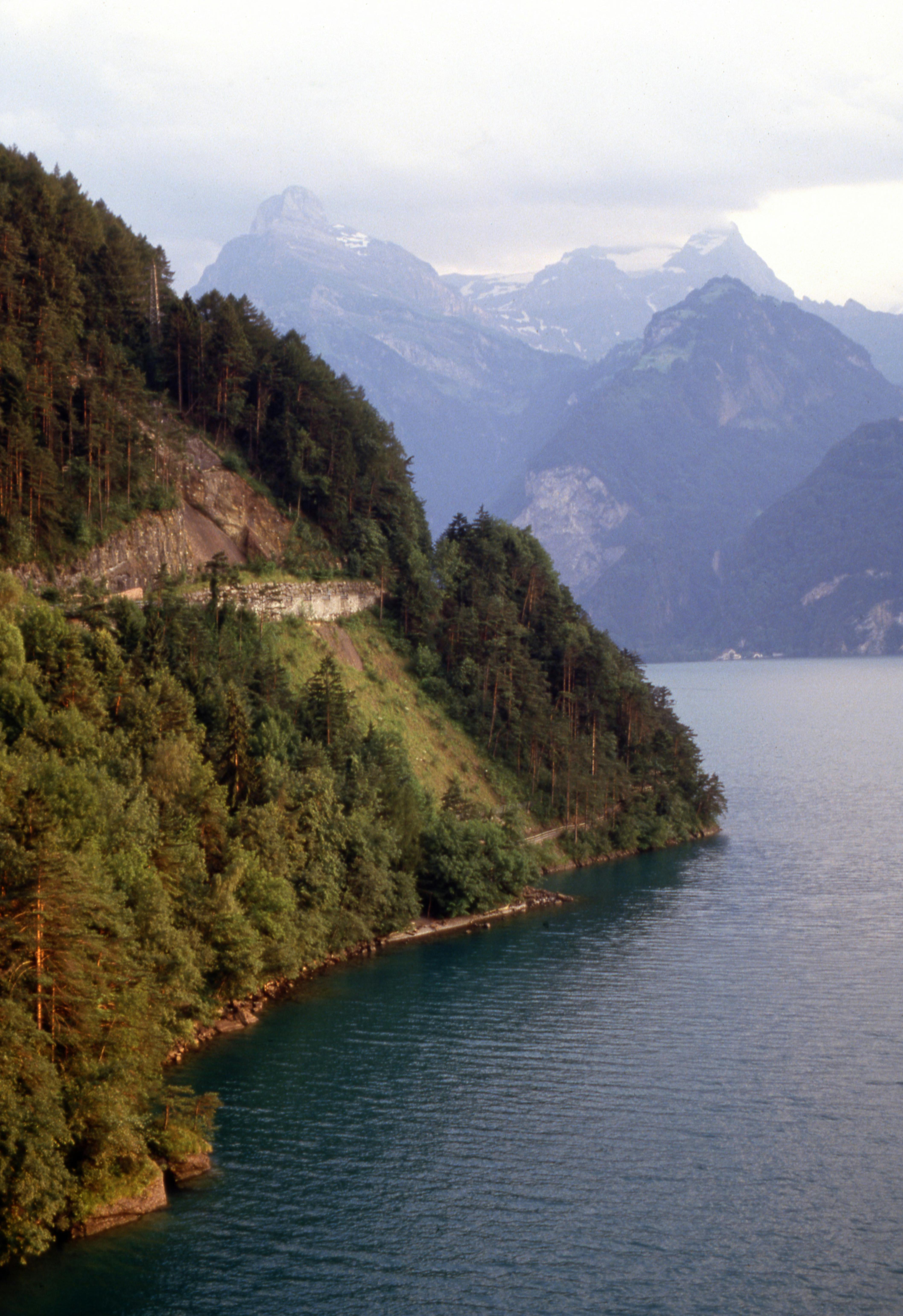Scenic Landscape of Lake Lucerne and Swiss Alps · Free Stock Photo