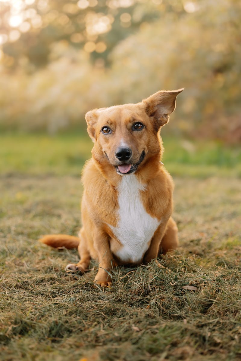 Friendly Photos, Download The BEST Free Friendly Stock Photos & HD Images