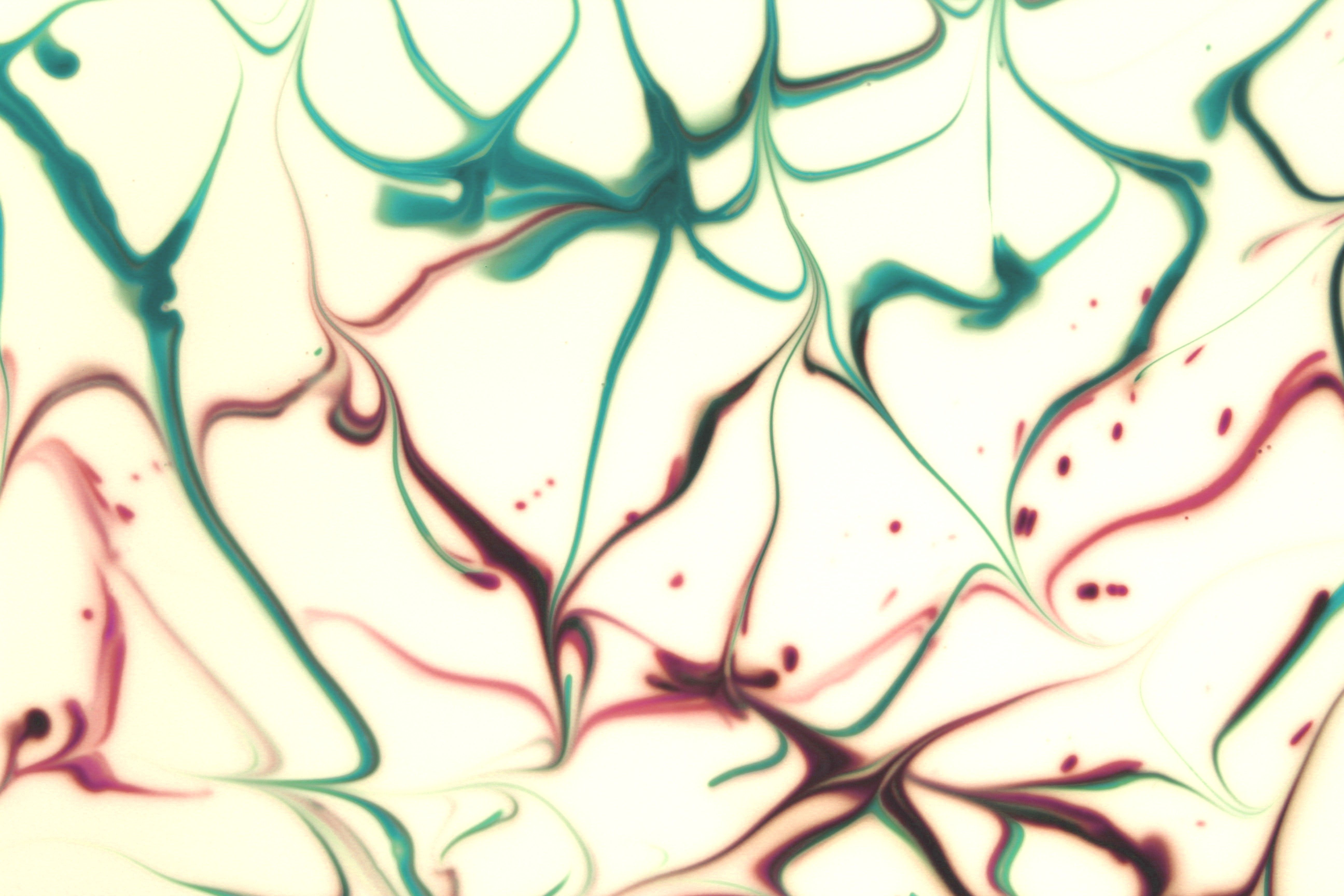 A close up of a green and red swirl · Free Stock Photo
