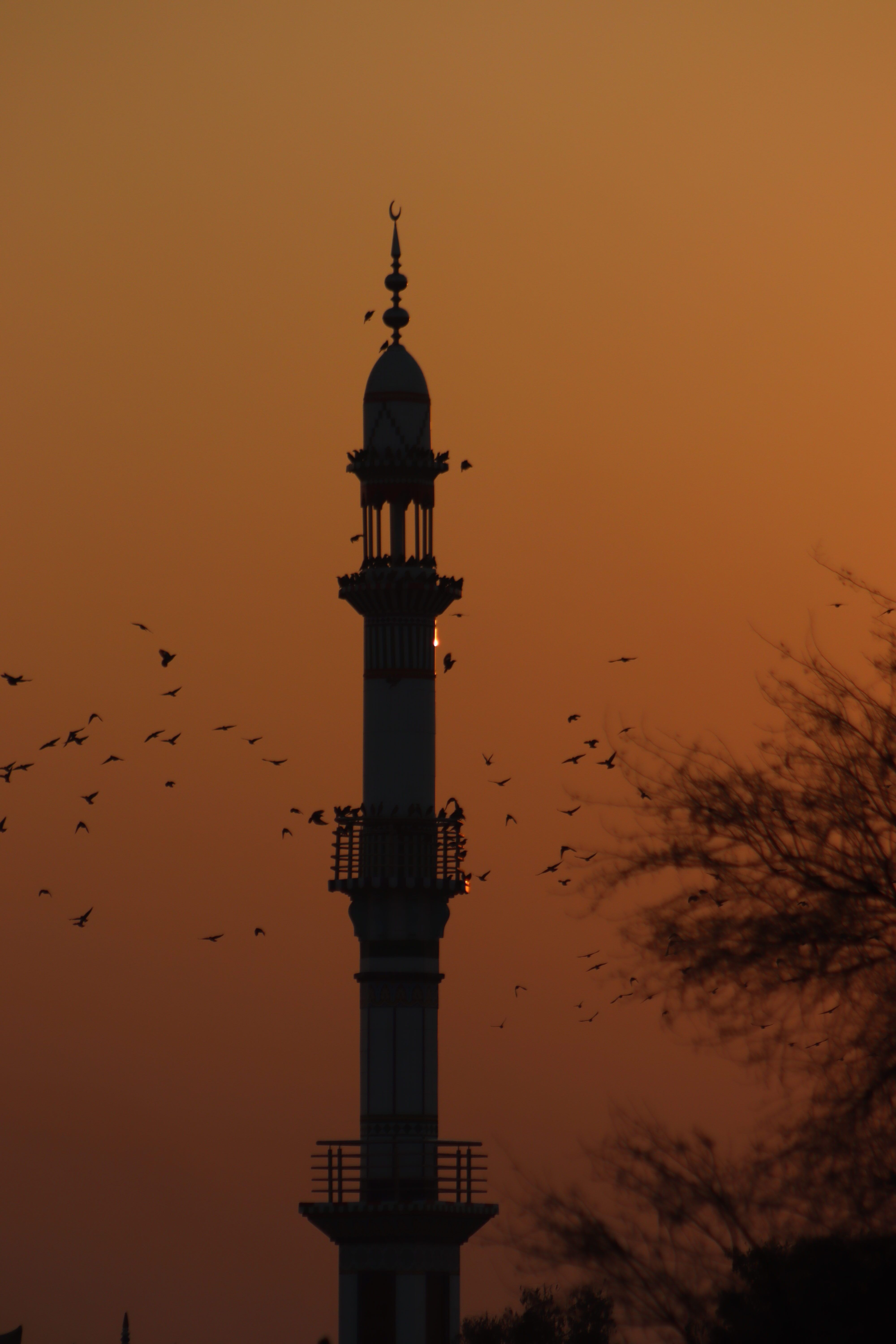 A silhouette of a mosque with birds flying around it · Free Stock Photo