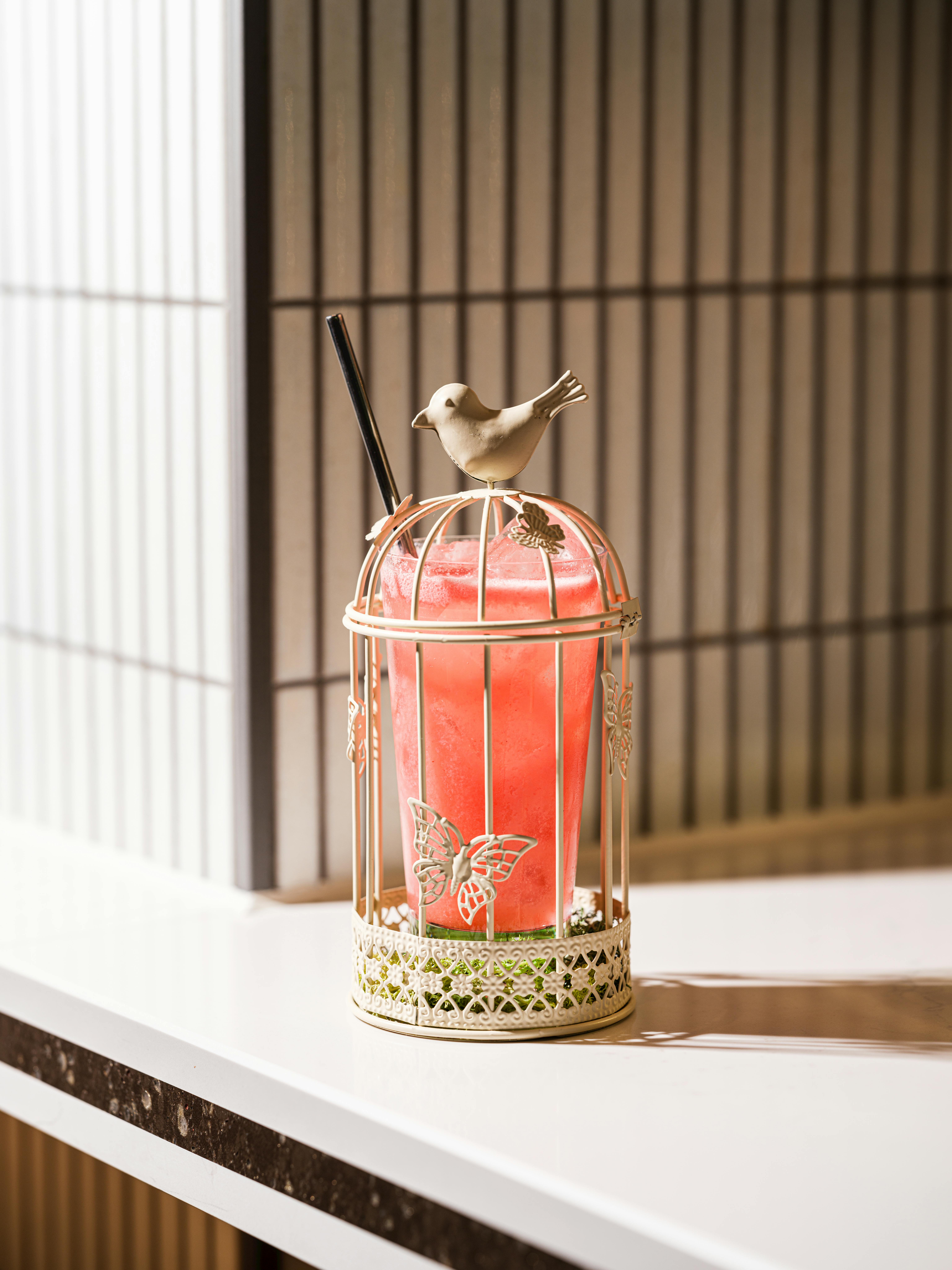 Exotic Trap · Free Stock Photo