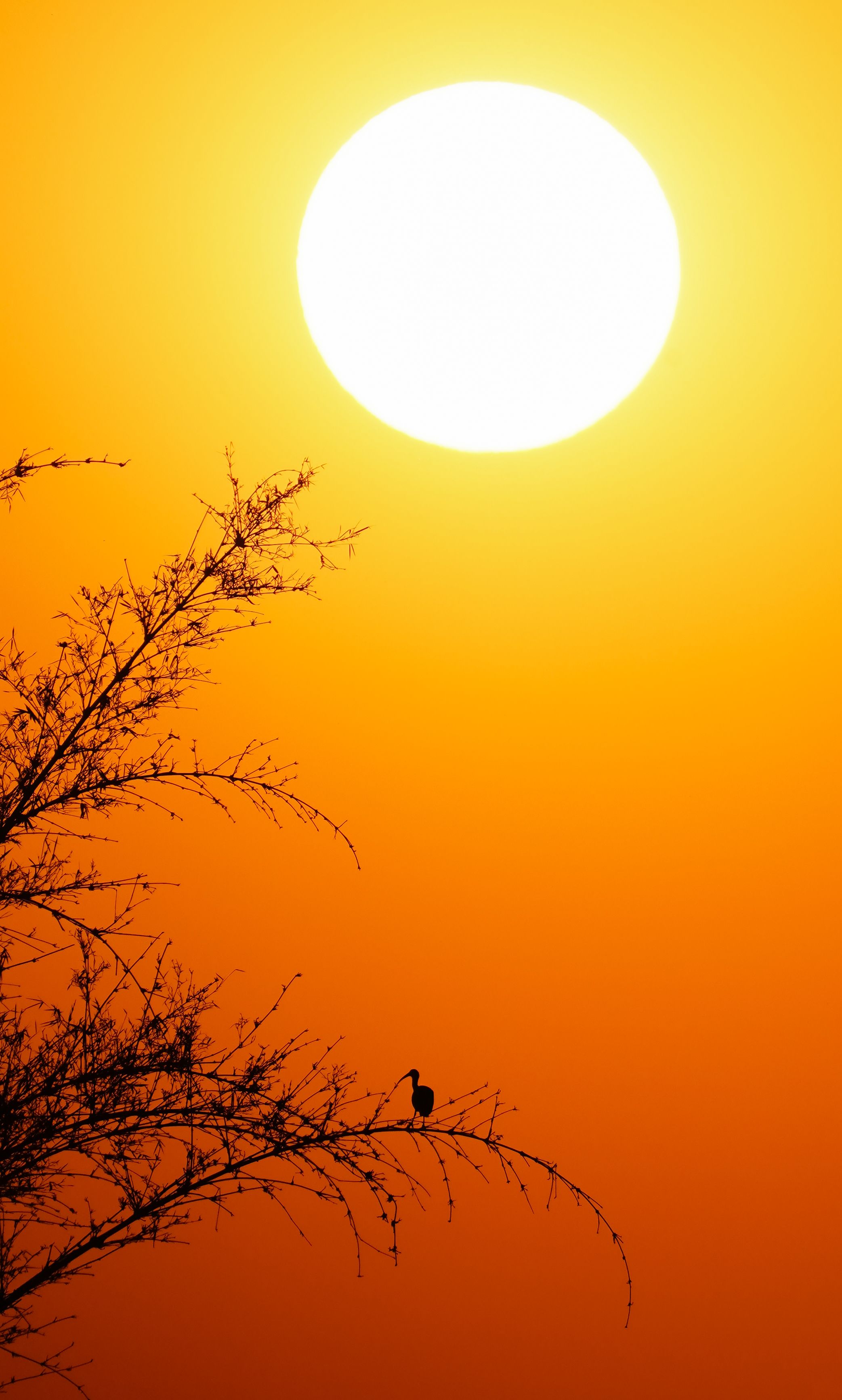 Final de Tarde · Free Stock Photo
