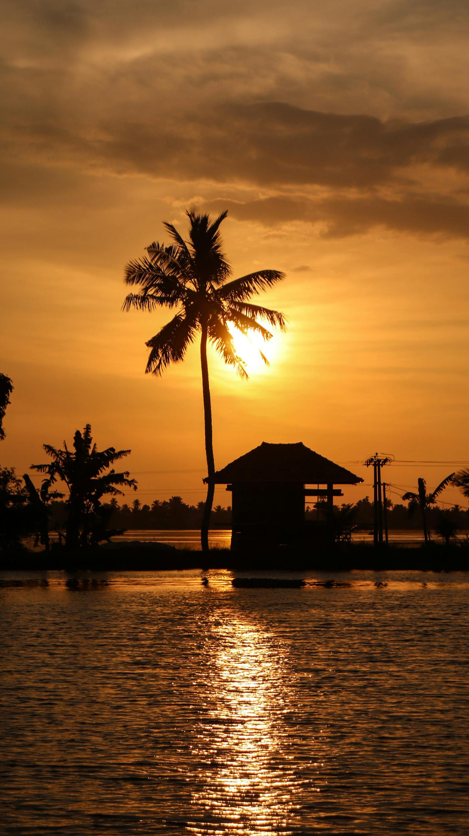 Picture Of Sun Photos, Download The BEST Free Picture Of Sun Stock ...