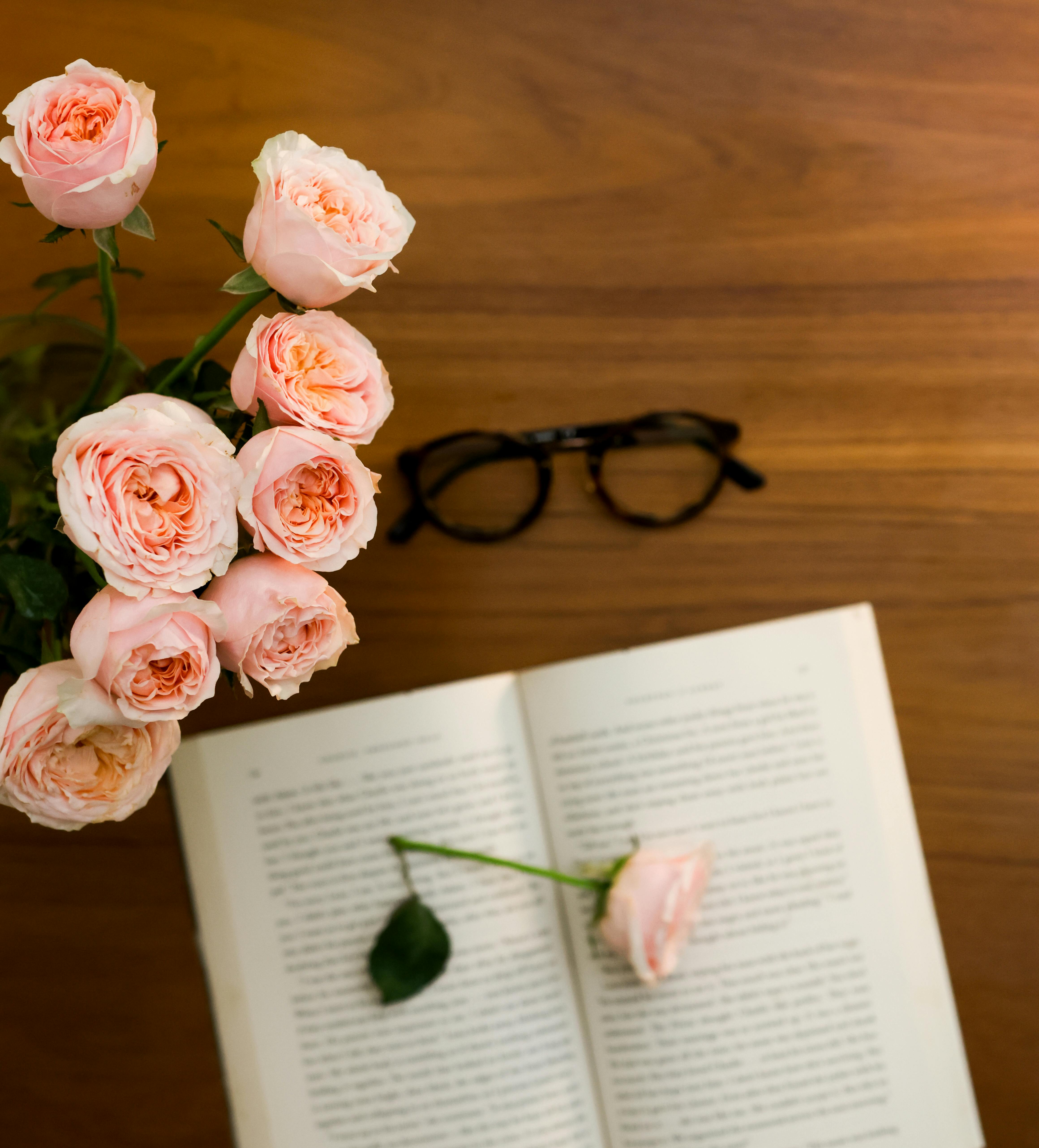 Pink Rose and Book · Free Stock Photo