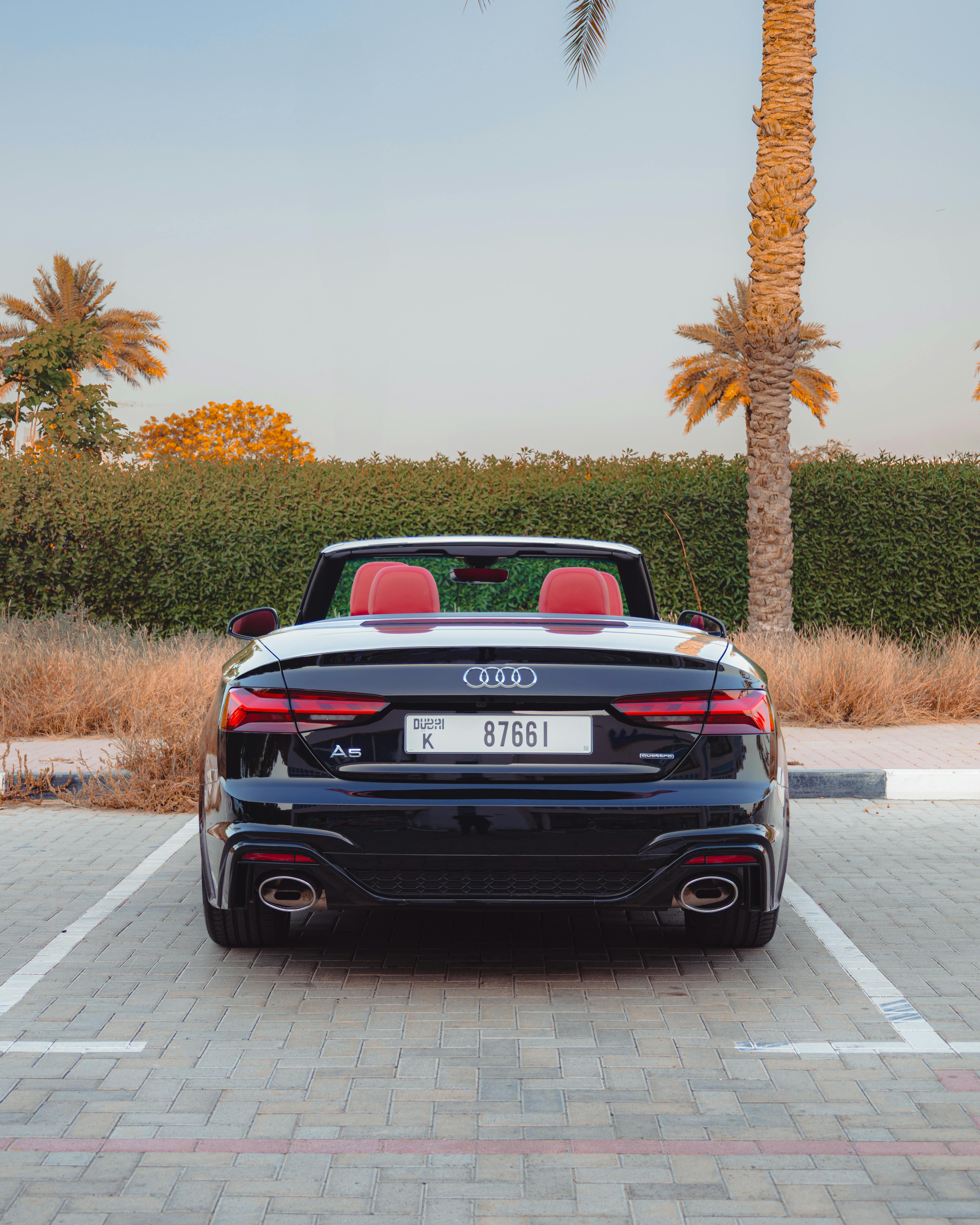 Audi · Free Stock Photo