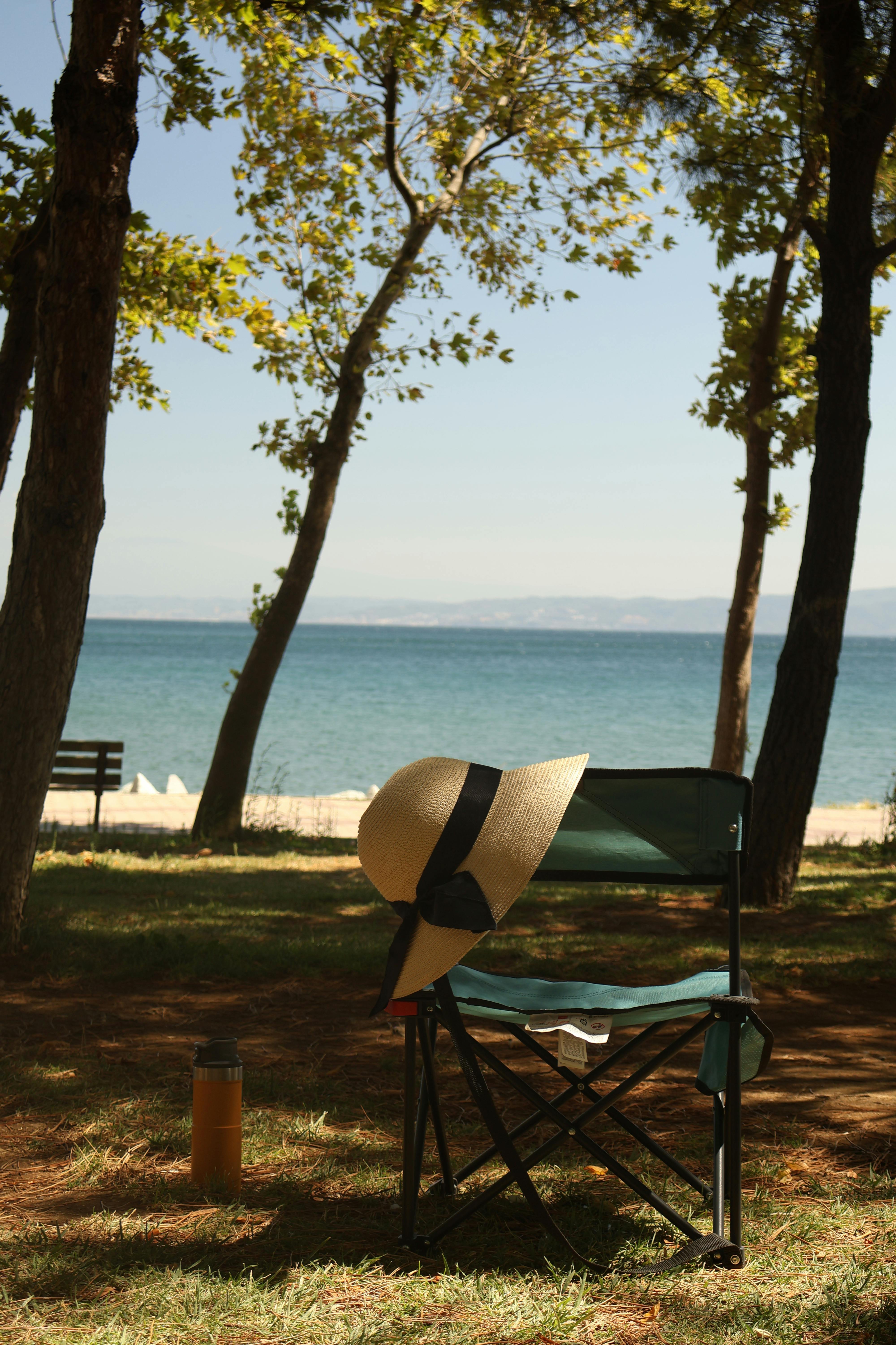 summer · Free Stock Photo