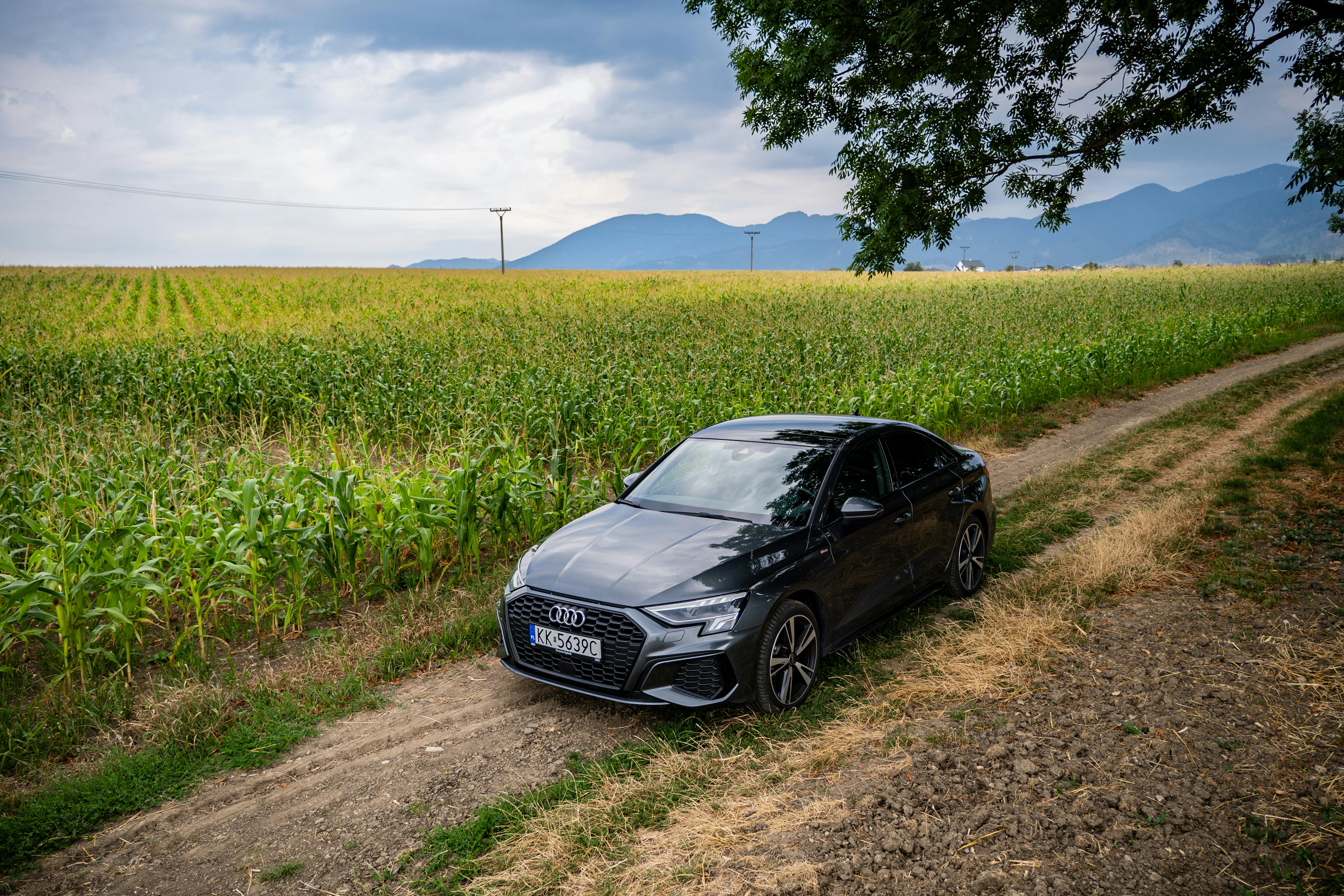 A car parked on a dirt road near a corn field · Free Stock Photo