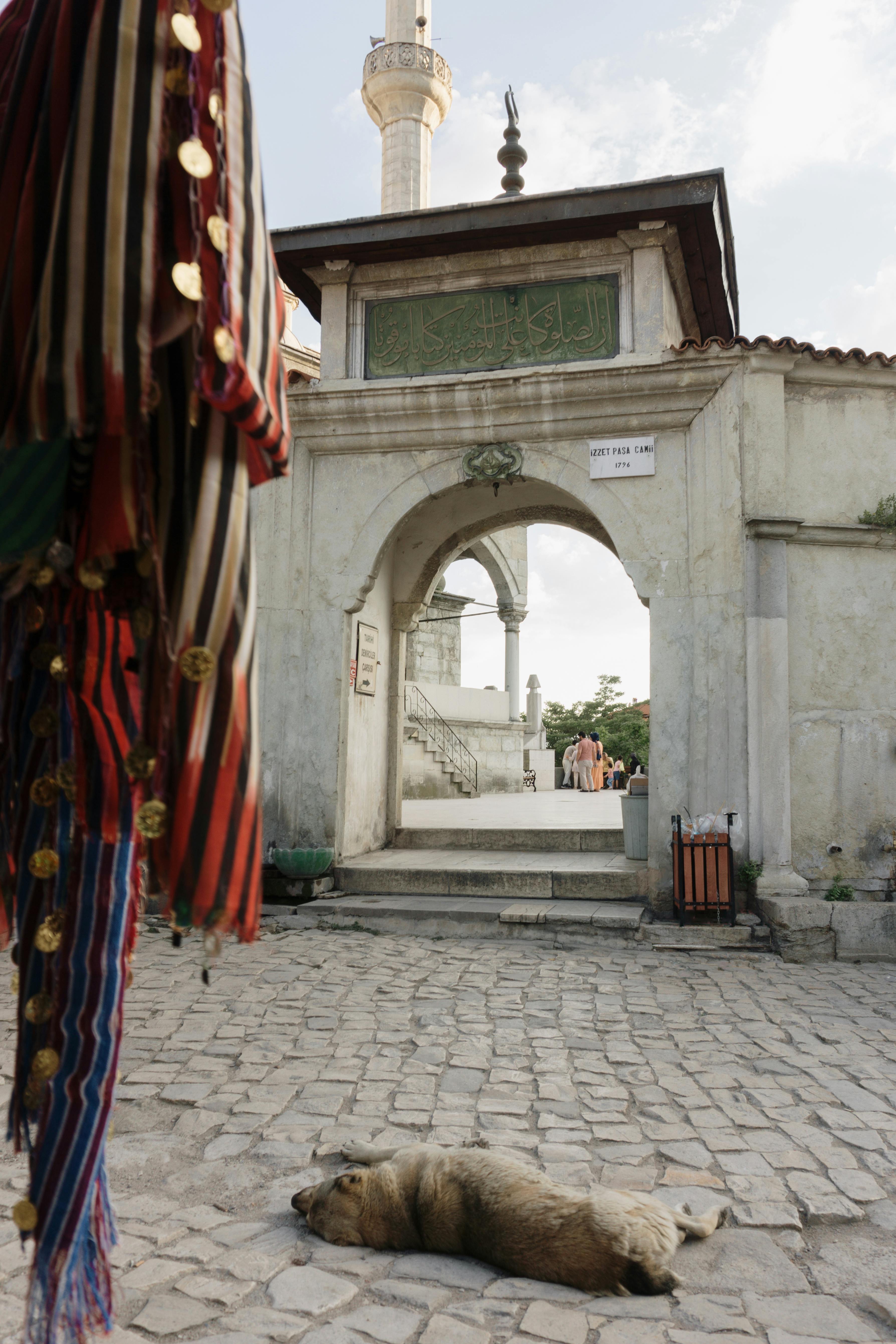 Dog Islamic Photos, Download The BEST Free Dog Islamic Stock Photos ...