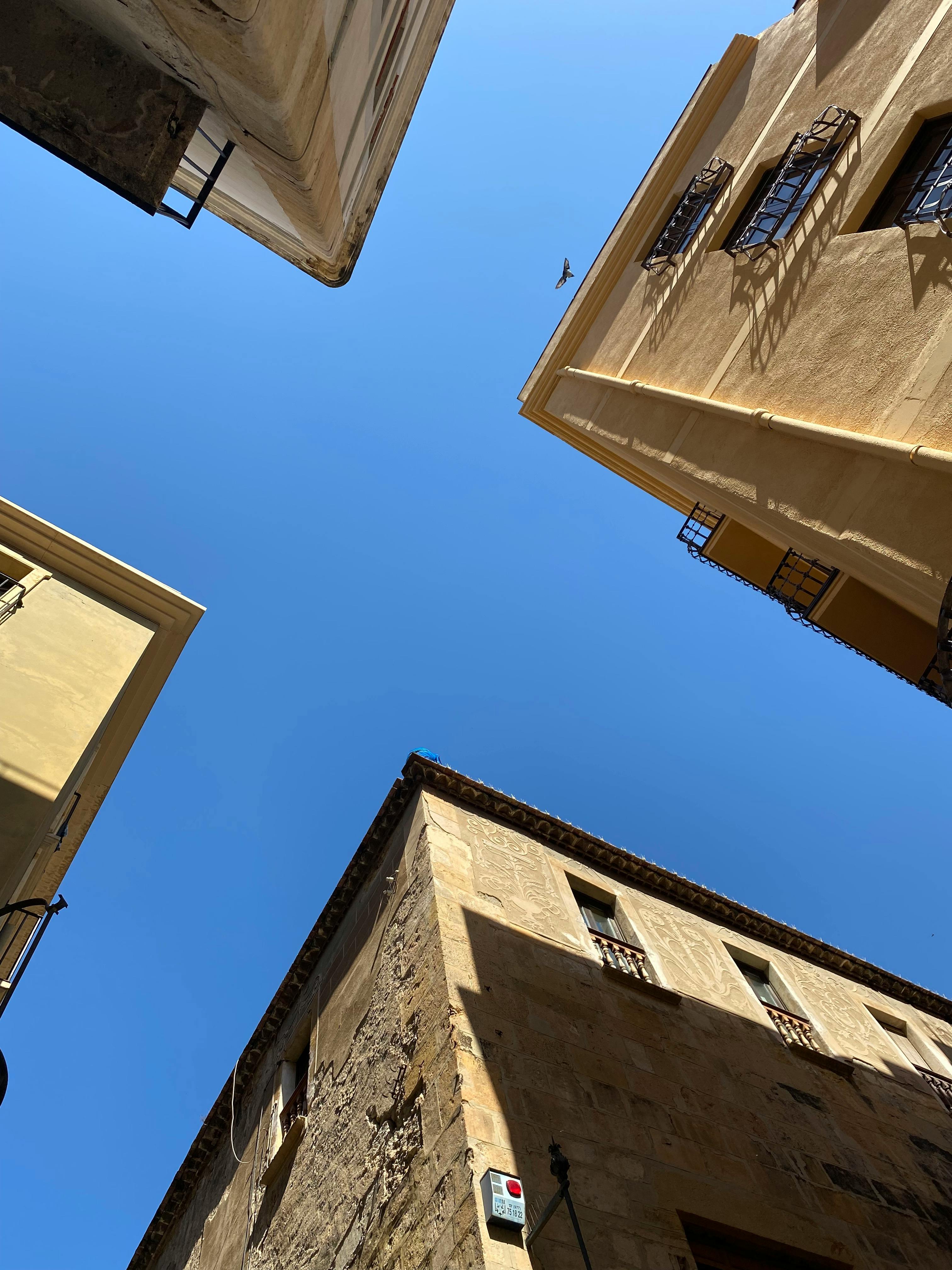 Egean Billeder Photos, Download The BEST Free Egean Billeder Stock ...