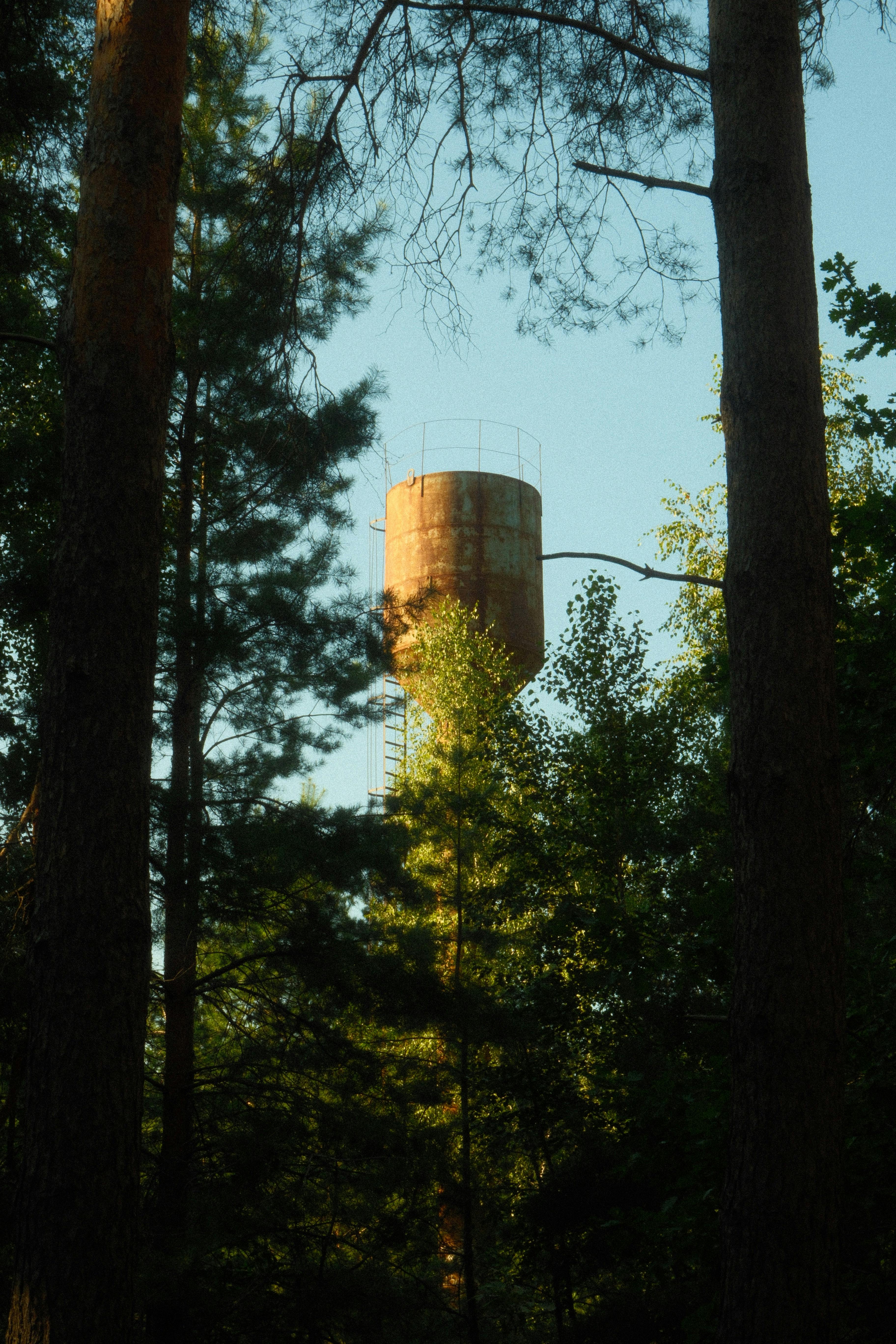 A tall water tower in the middle of a forest · Free Stock Photo