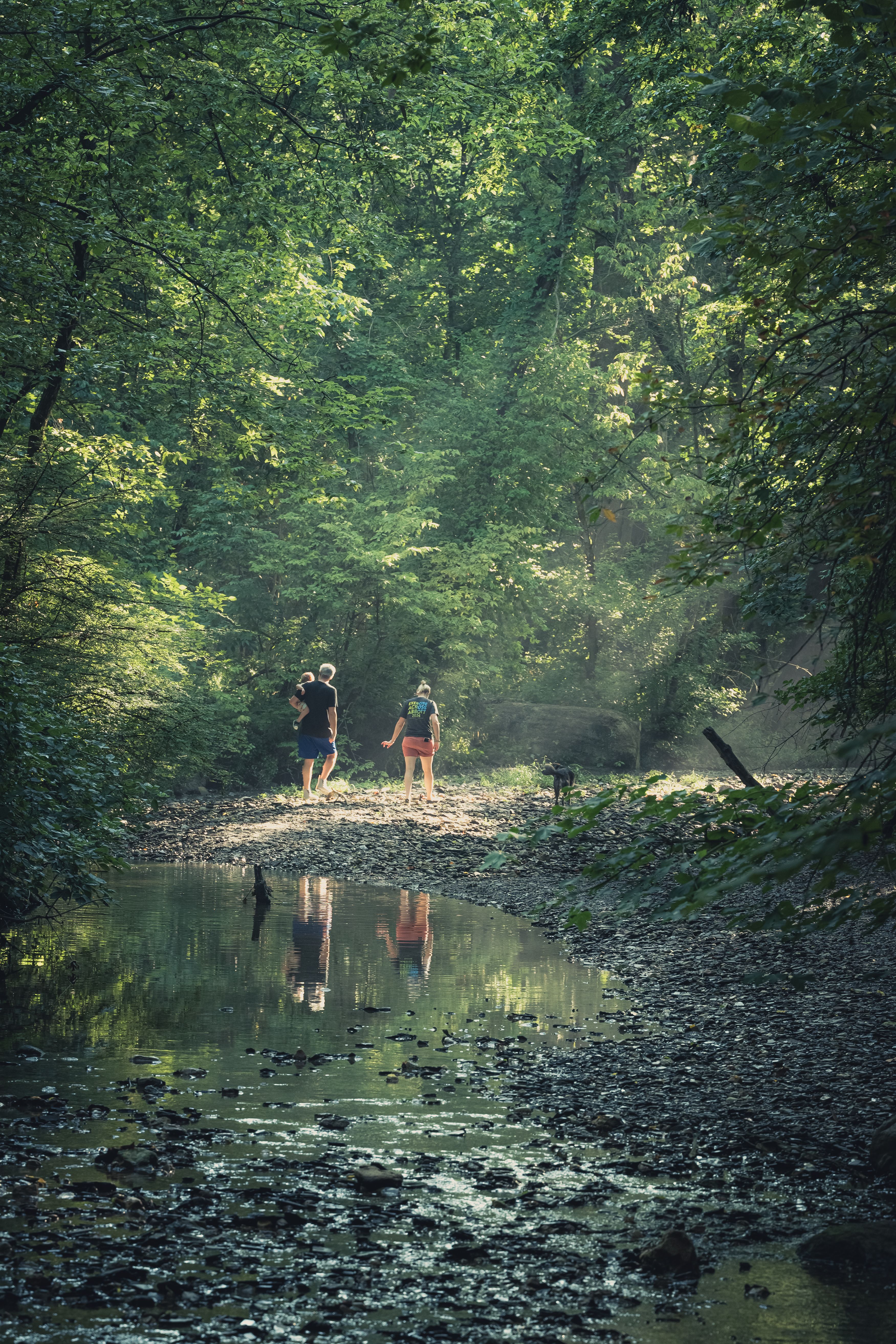 Two people walking along a creek in the woods · Free Stock Photo