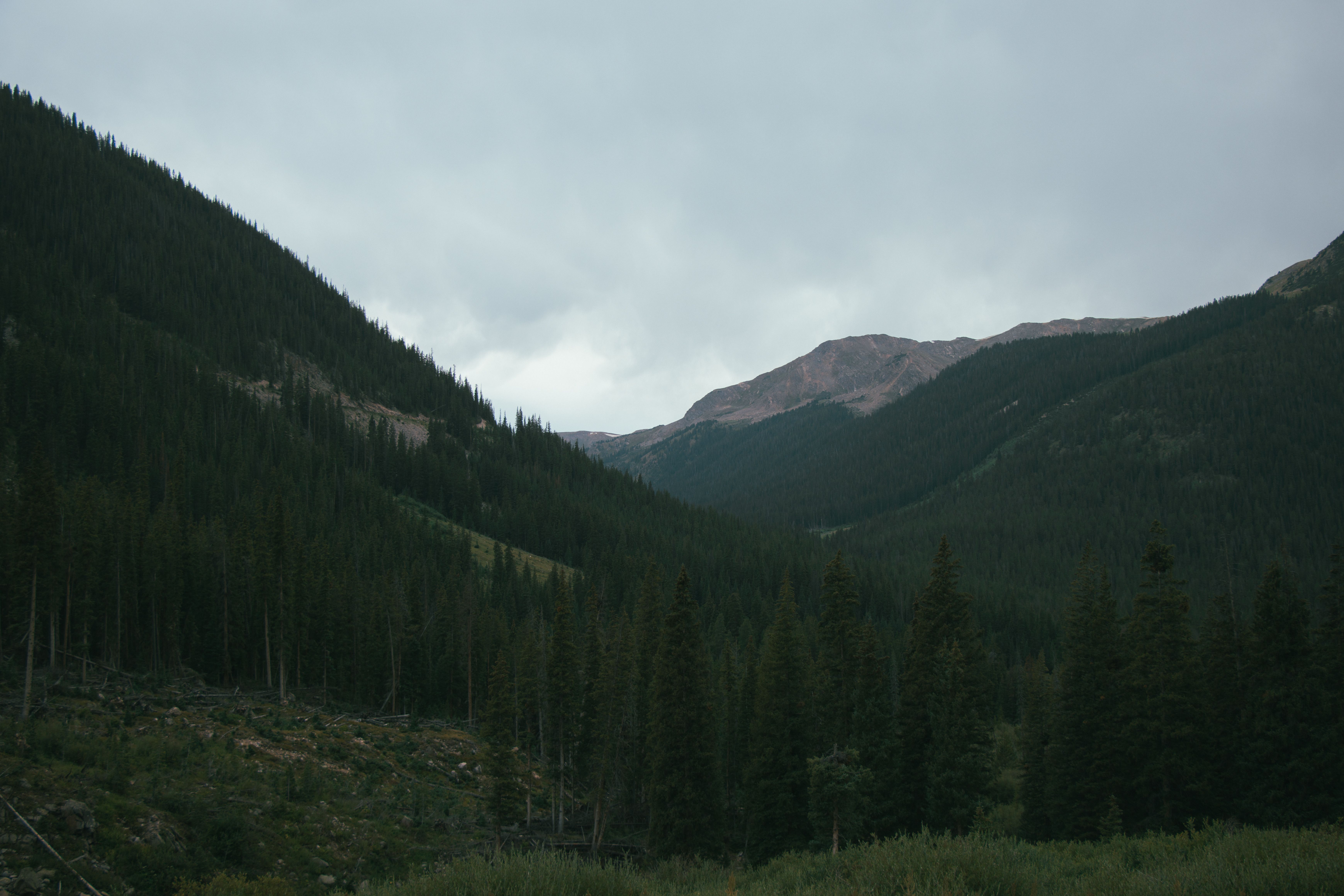 A view of a forested mountain range with trees · Free Stock Photo
