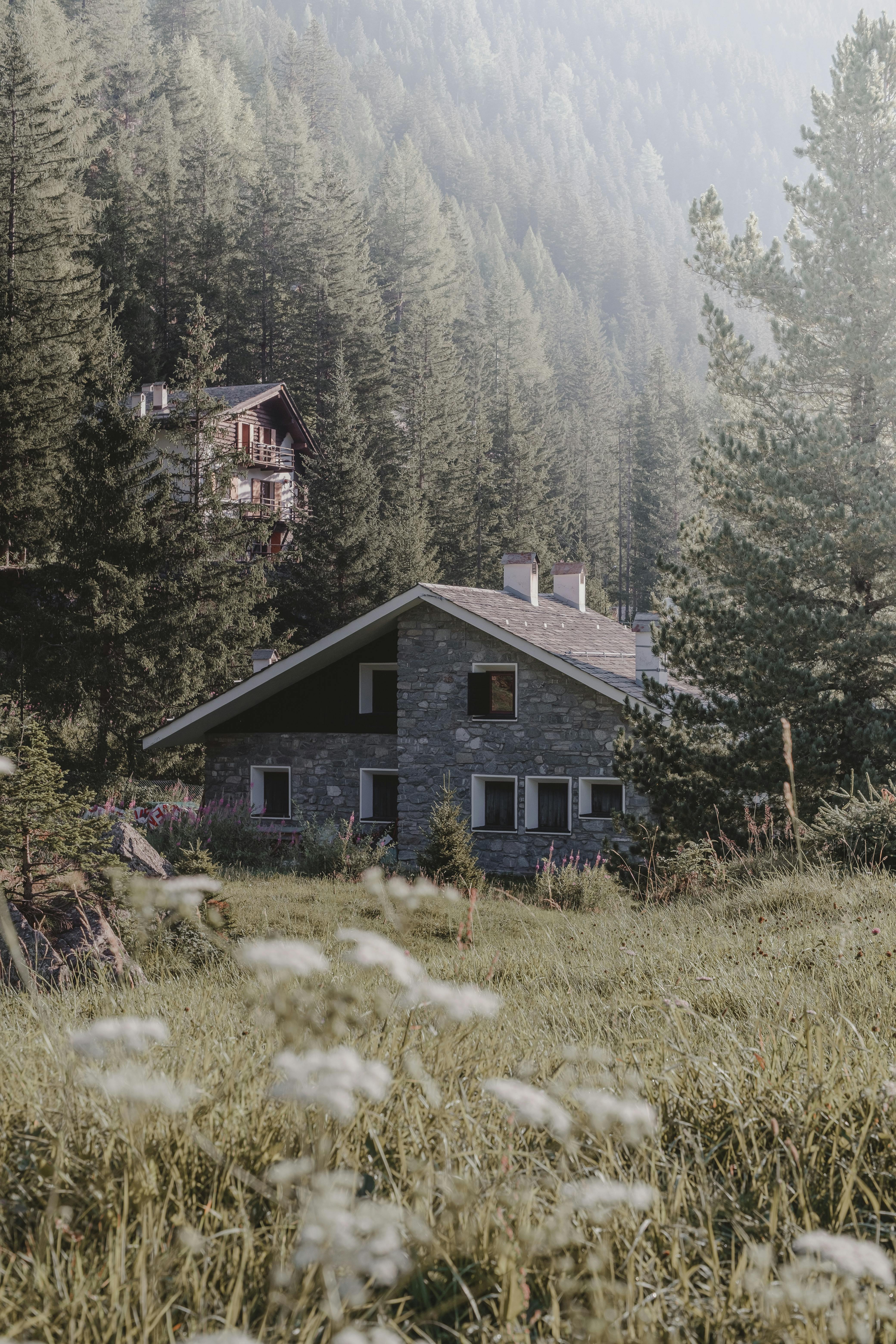 Cabin Photos, Download The BEST Free Cabin Stock Photos & HD Images