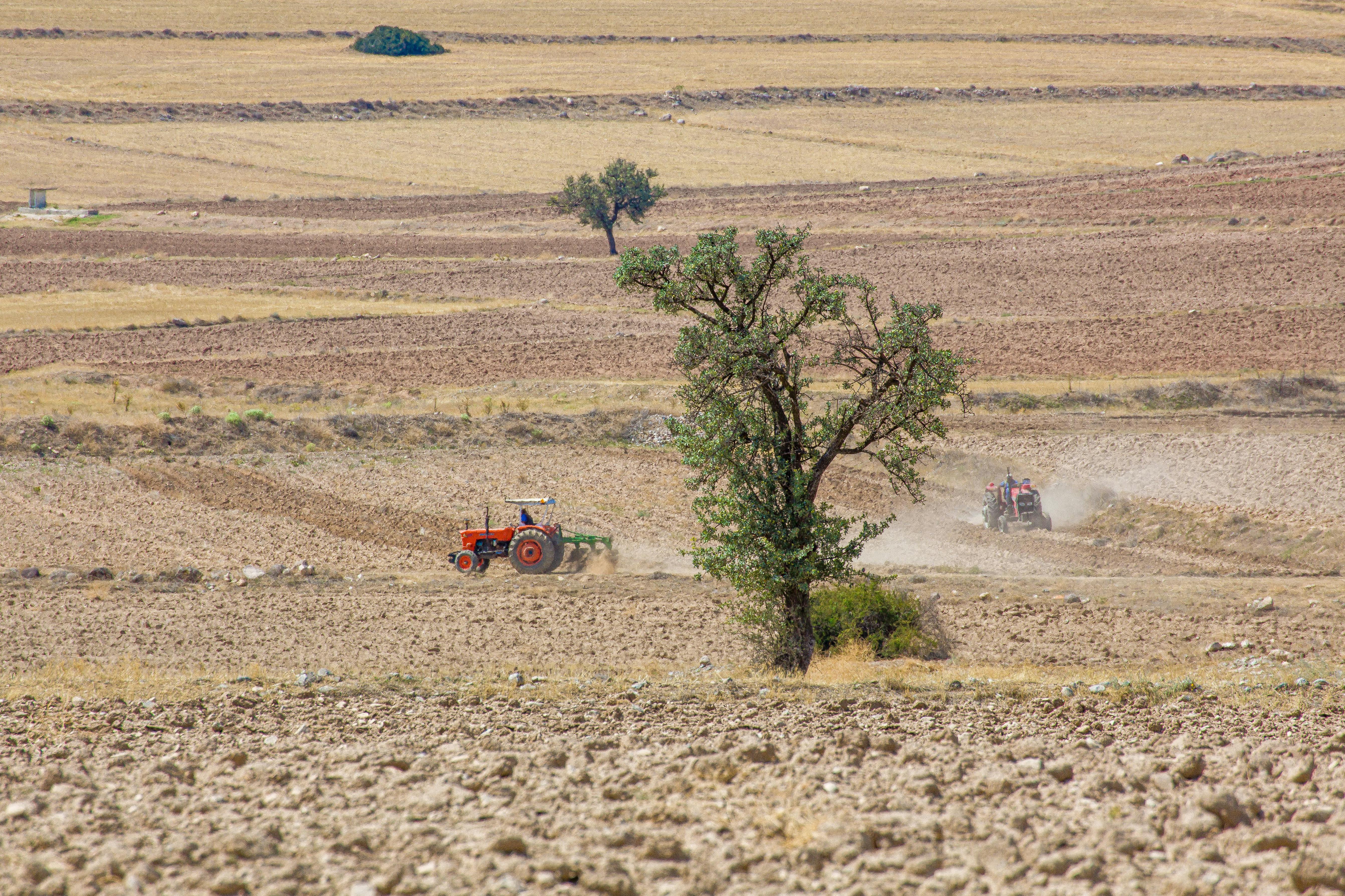 A tractor is plowing a field with a tree in the background · Free Stock ...
