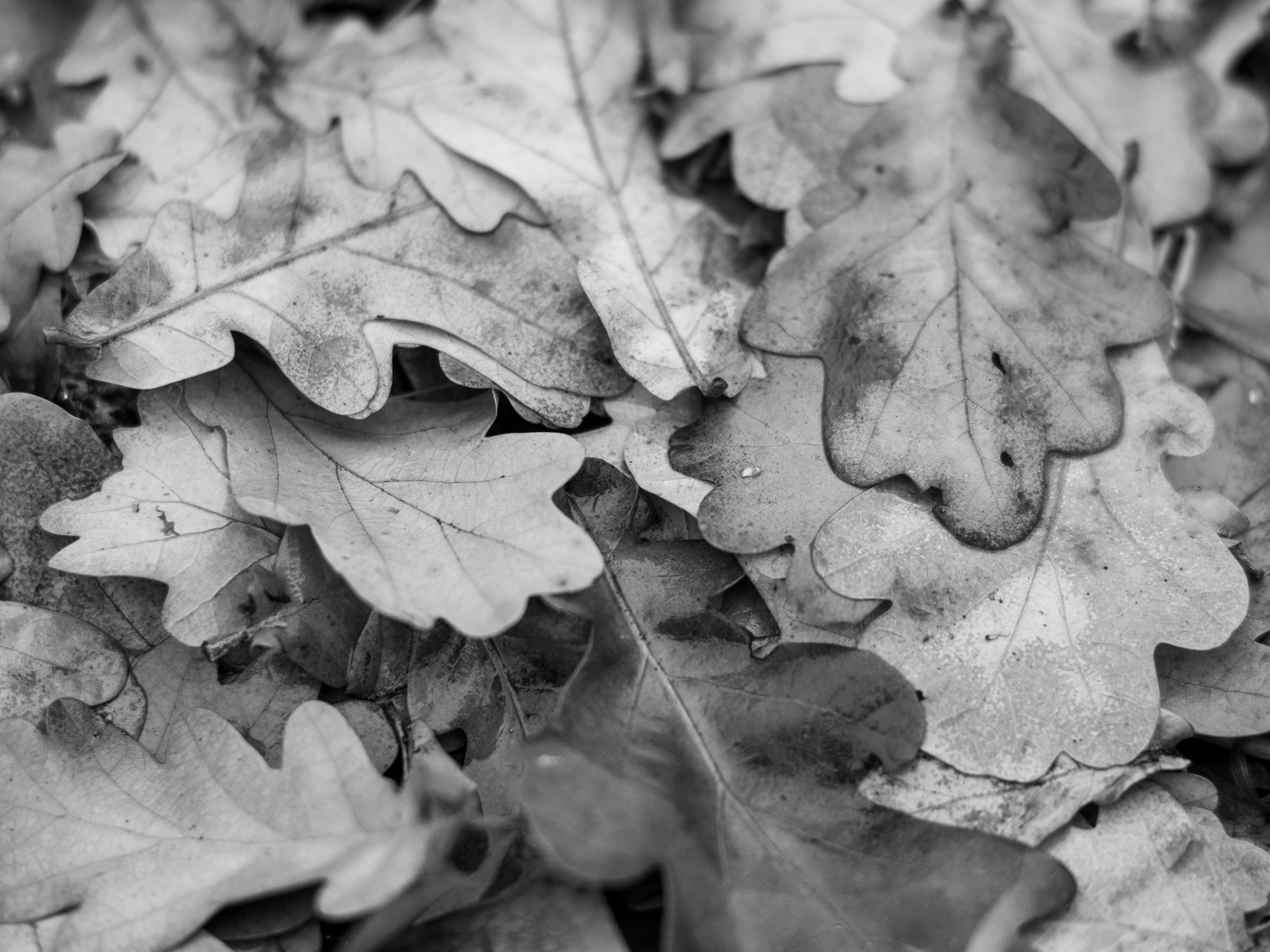 Slow Mind Photos, Download The BEST Free Slow Mind Stock Photos & HD Images