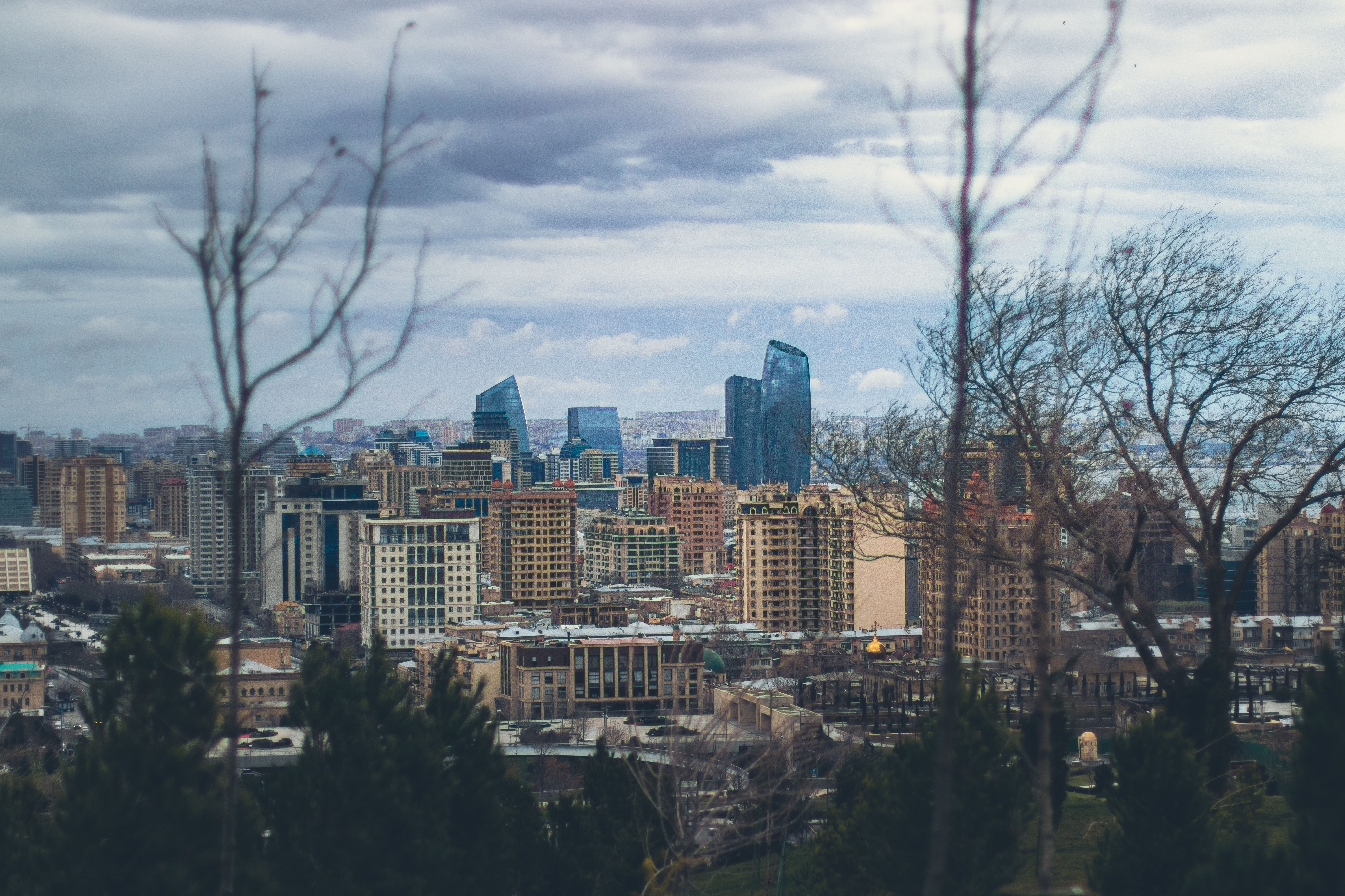 A city skyline with trees in the foreground · Free Stock Photo