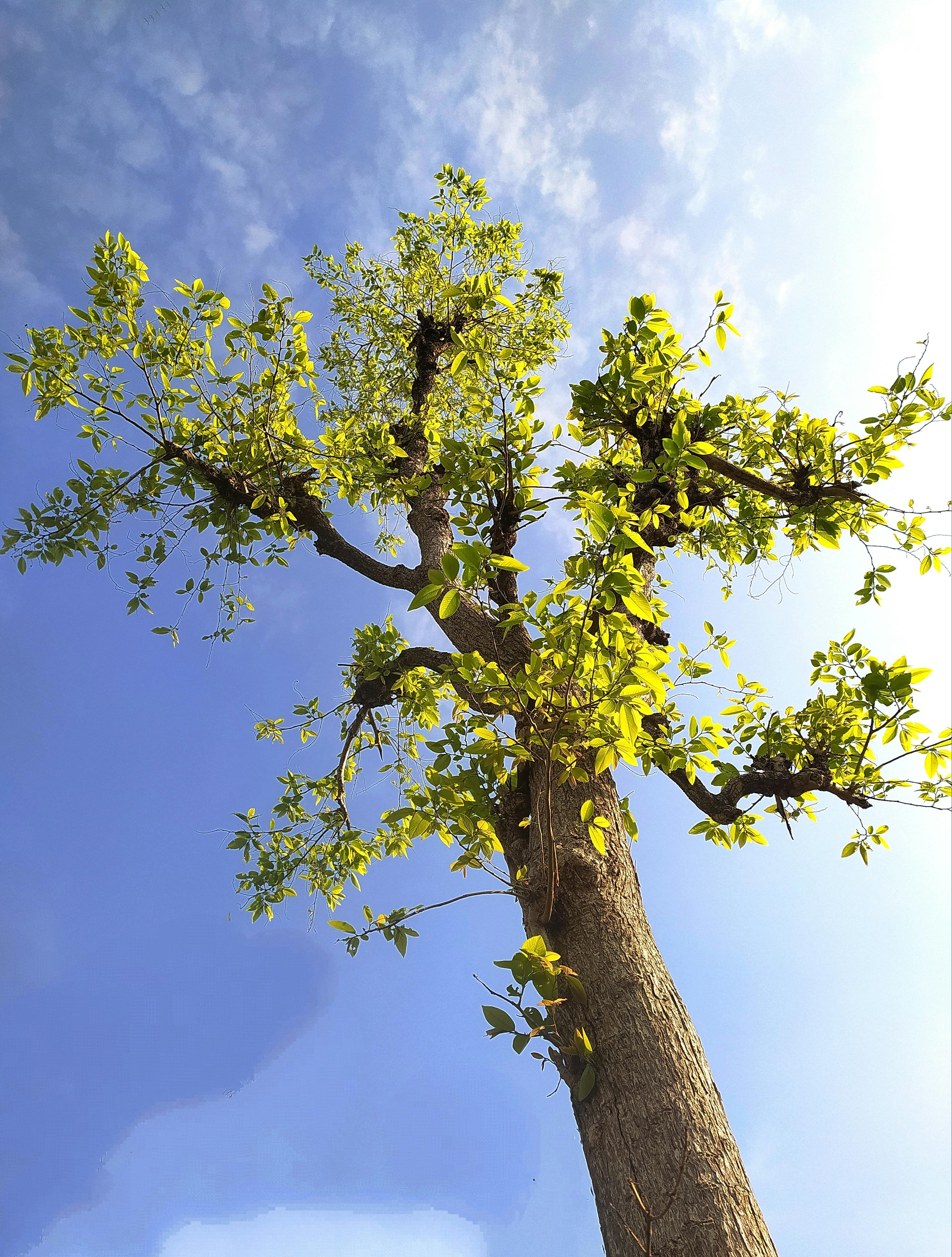 Blight Light Photos, Download The BEST Free Blight Light Stock Photos ...