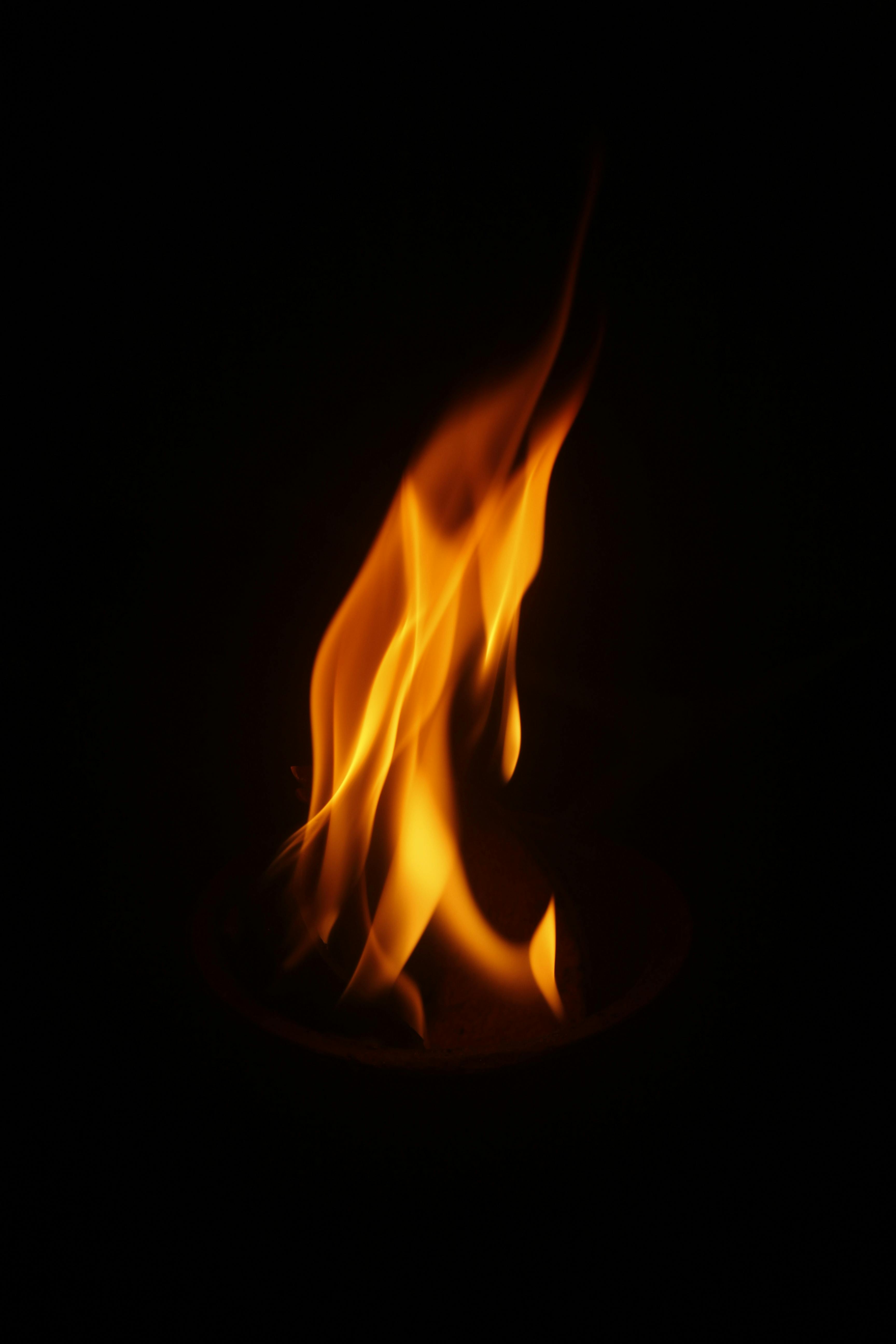 Fire and Charcoal With Black Background · Free Stock Photo