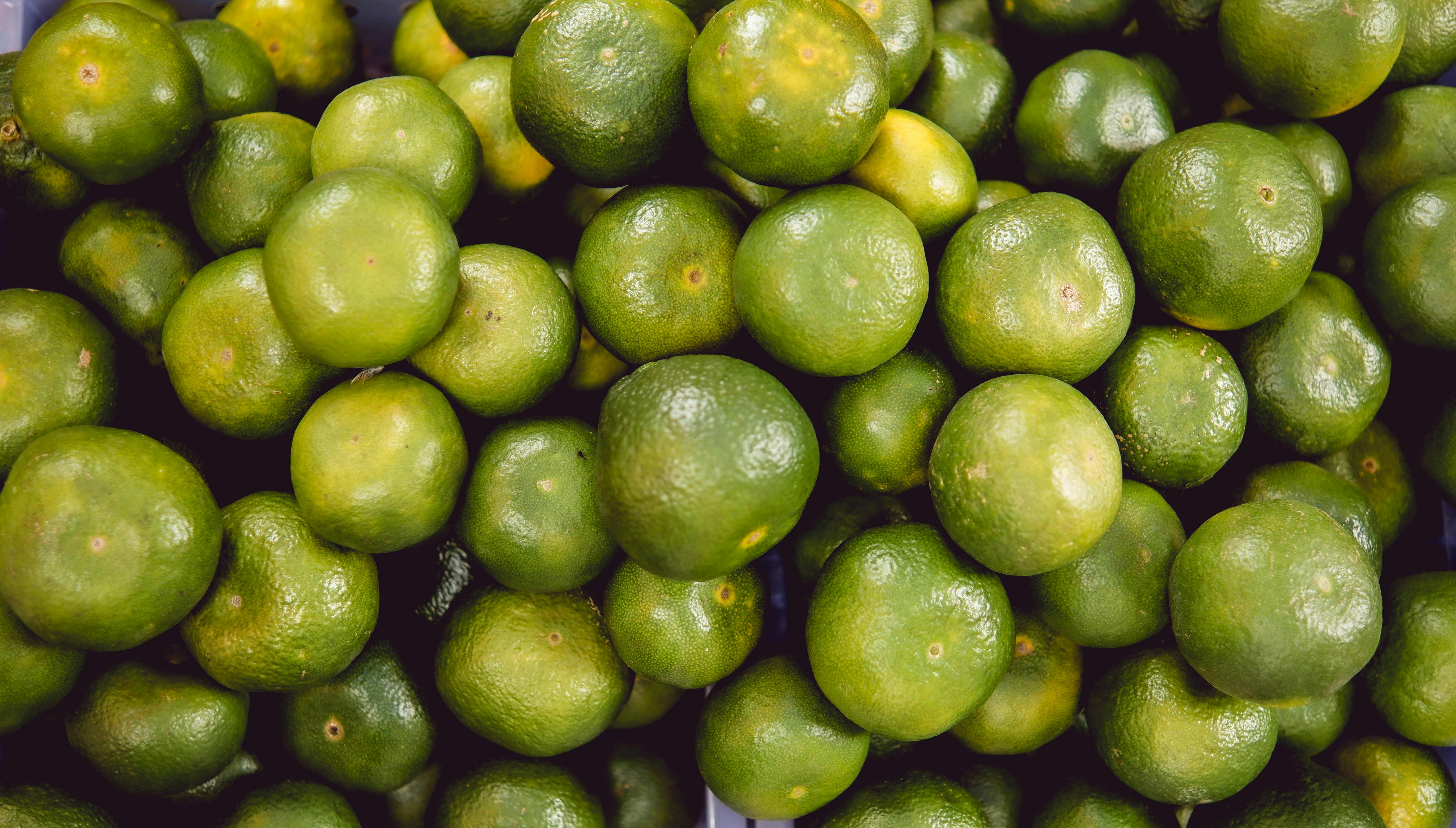 Philippine Lime Png Photos, Download The BEST Free Philippine Lime Png ...