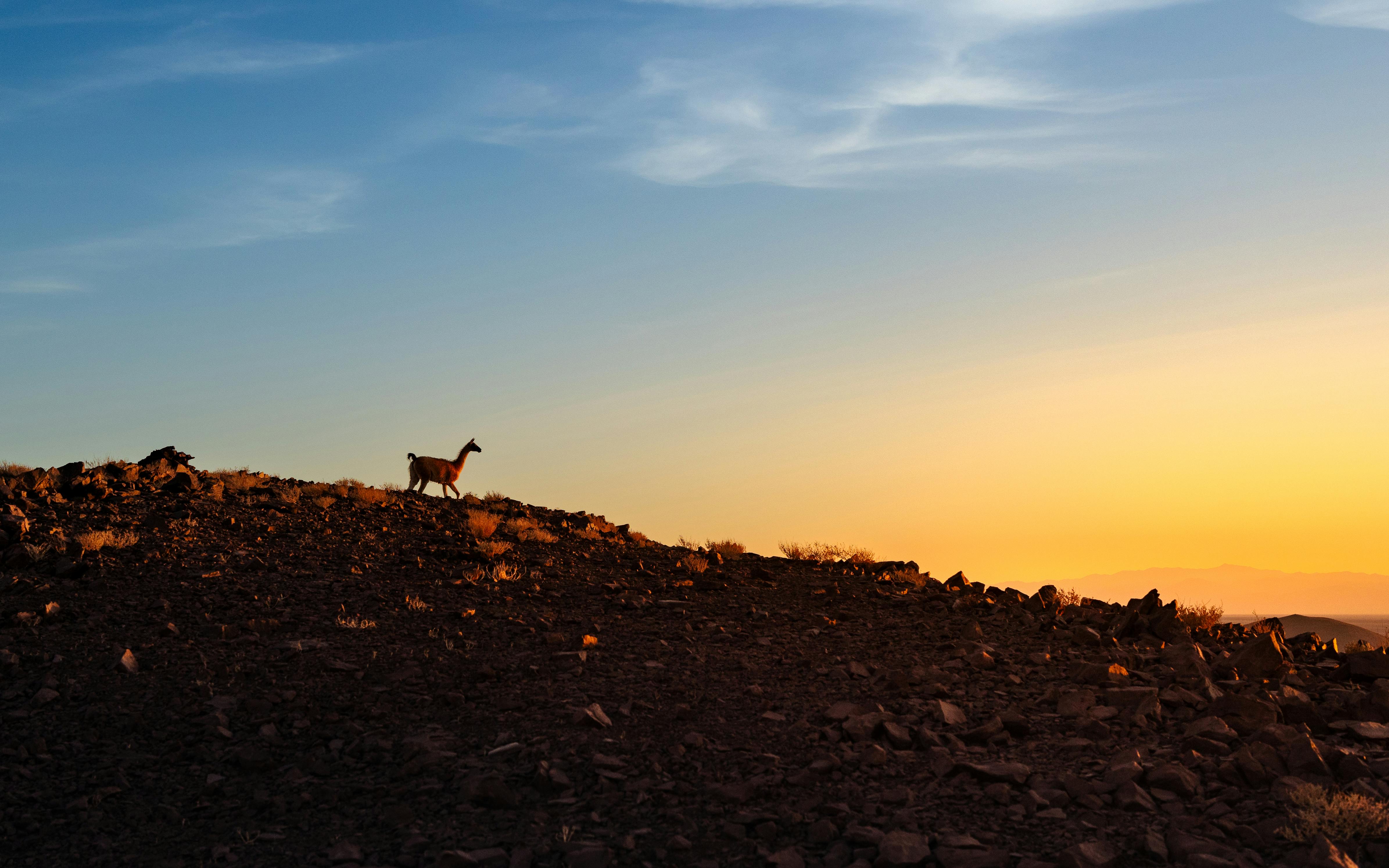 Opening Late Photos, Download The BEST Free Opening Late Stock Photos ...