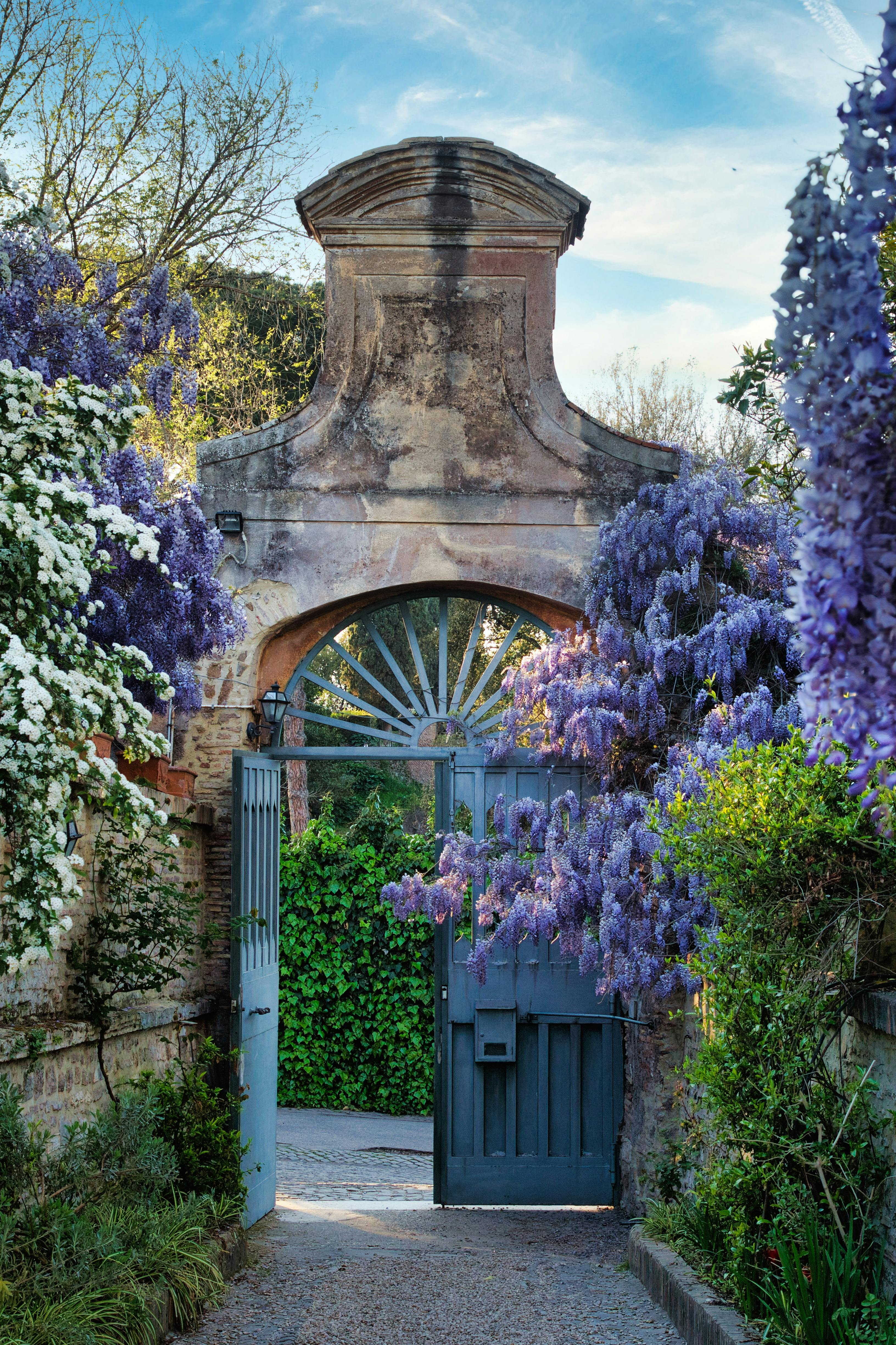 Rome Bloom Achtergrond Photos, Download The BEST Free Rome Bloom ...