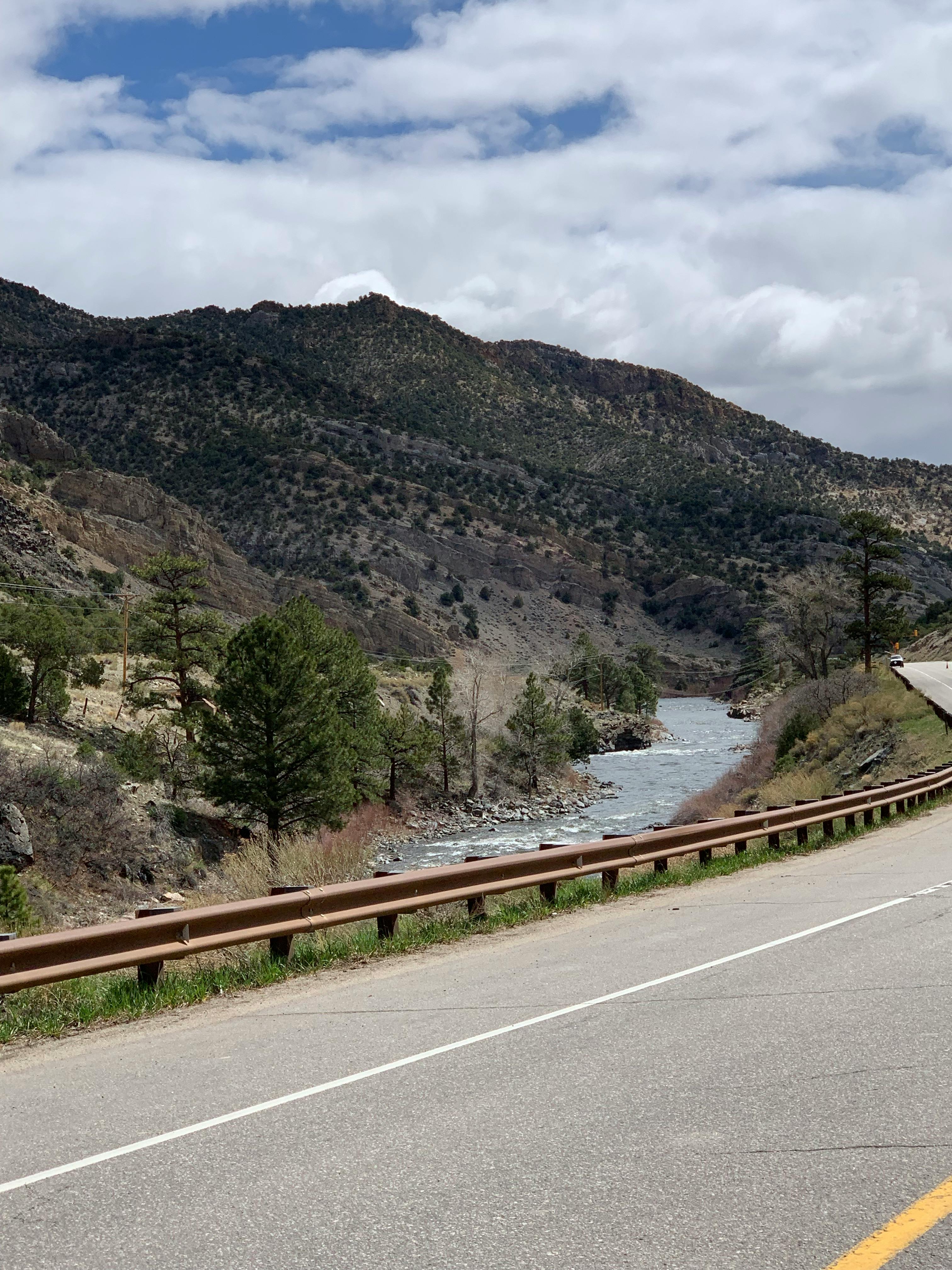 Robin Anderson - Photography