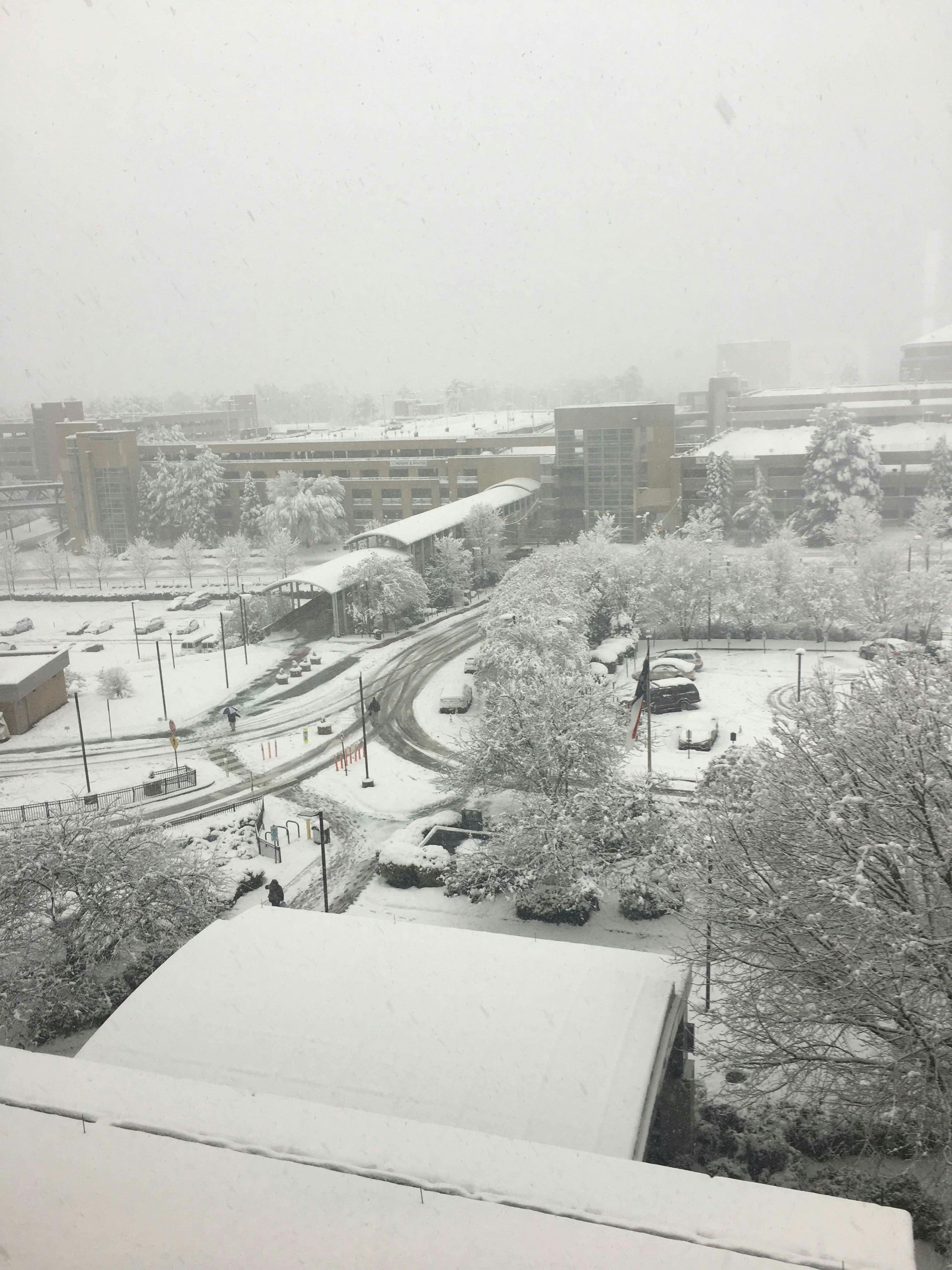 Robin Anderson - 사진