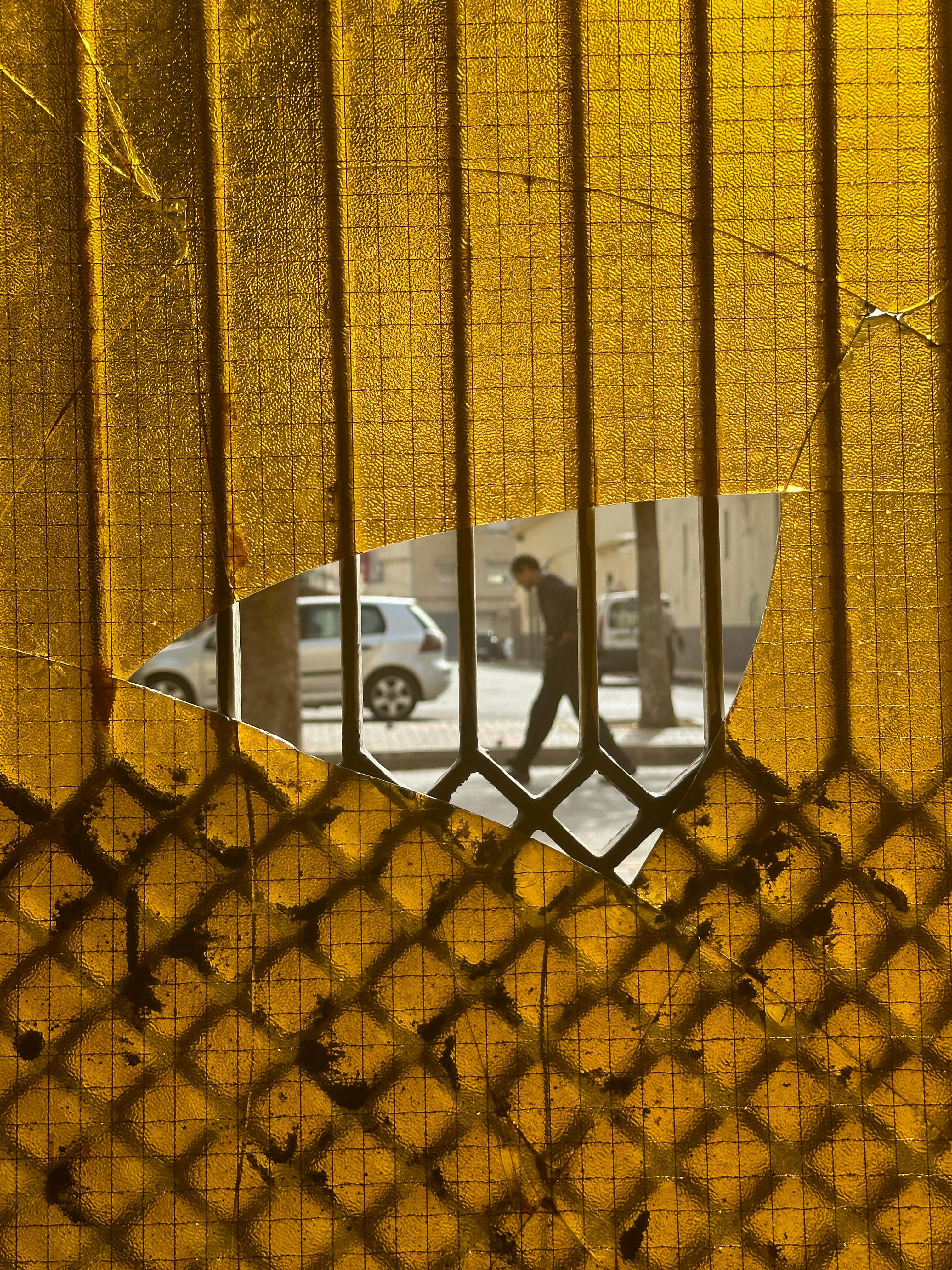 simple shoot · Free Stock Photo