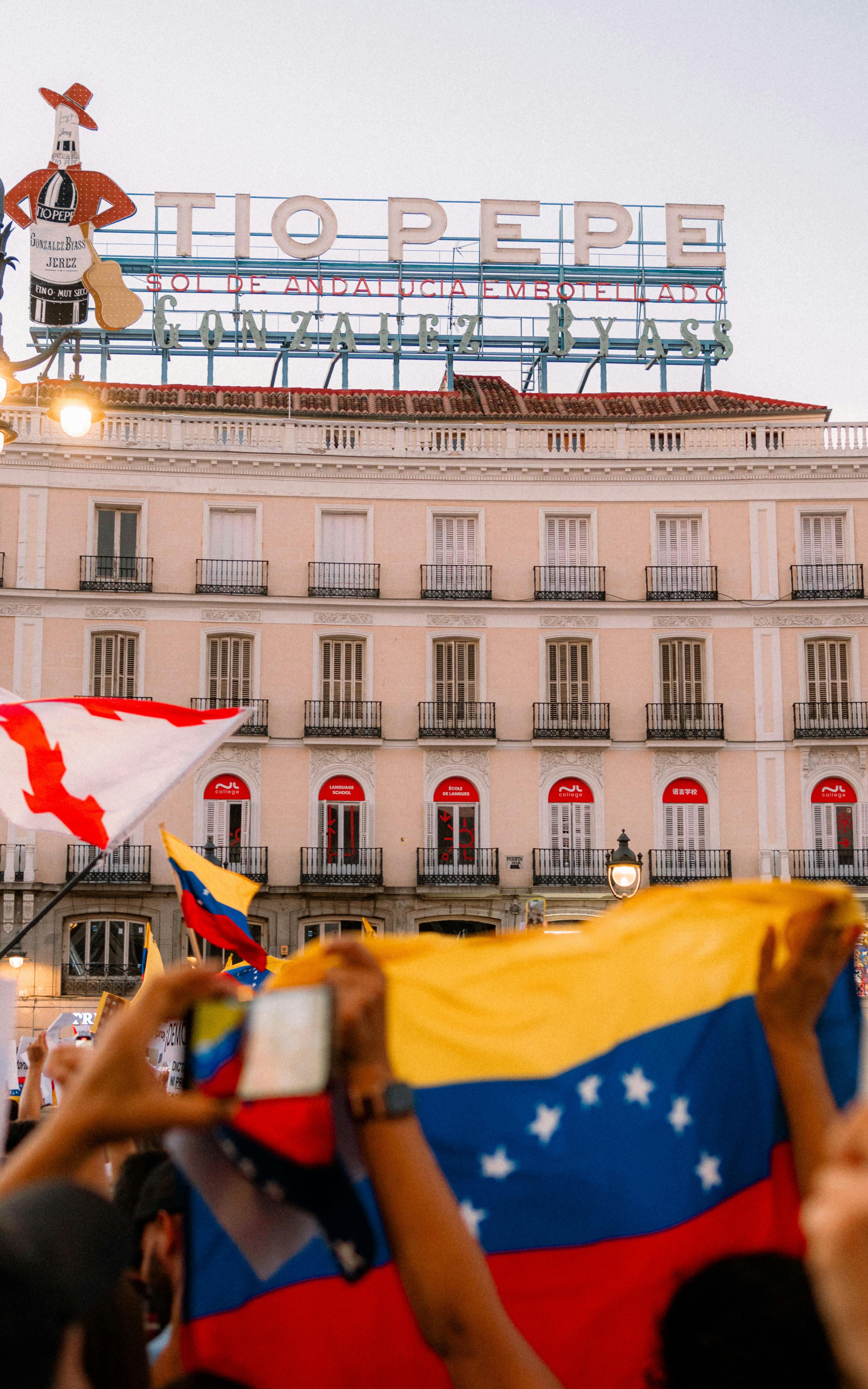 A crowd of people holding flags in front of a building · Free Stock Photo