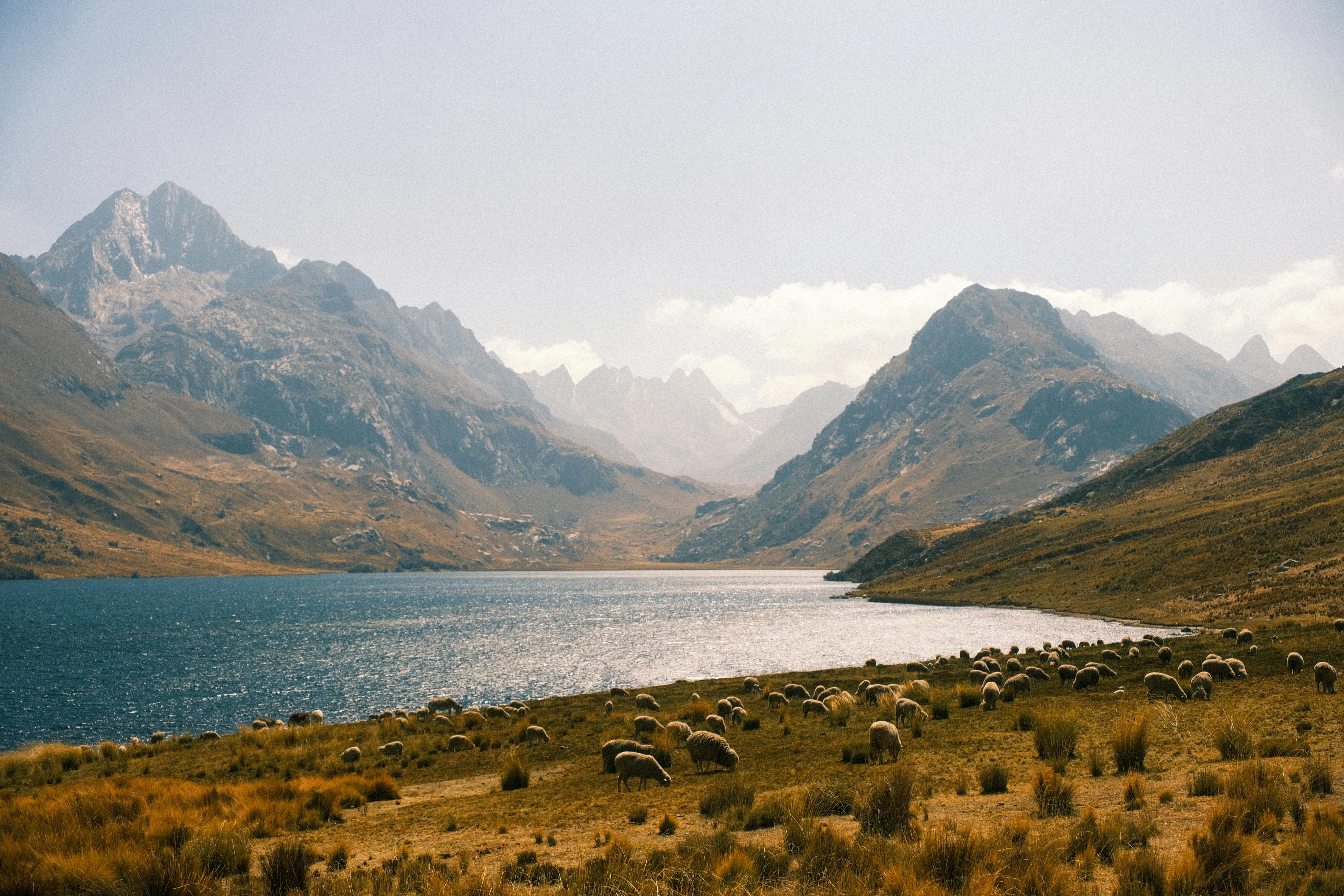 1 000+ การทดสอบบุคลิกภาพใน Peru banque d’images et photos libres de ...